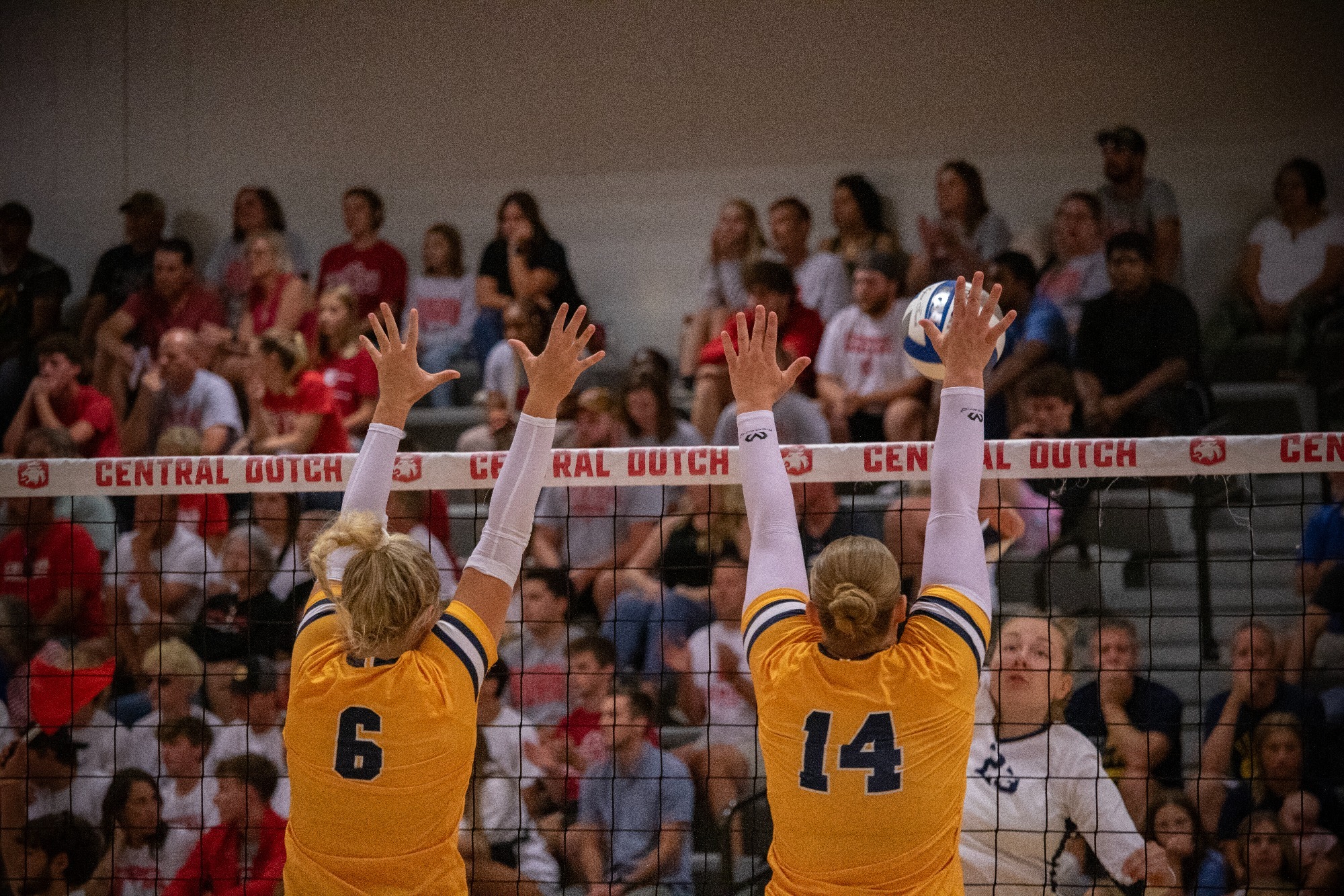 Volleyball Sweeps Crown; Falls 3-0 to UW-Stout on Opening Night - Buena Vista University