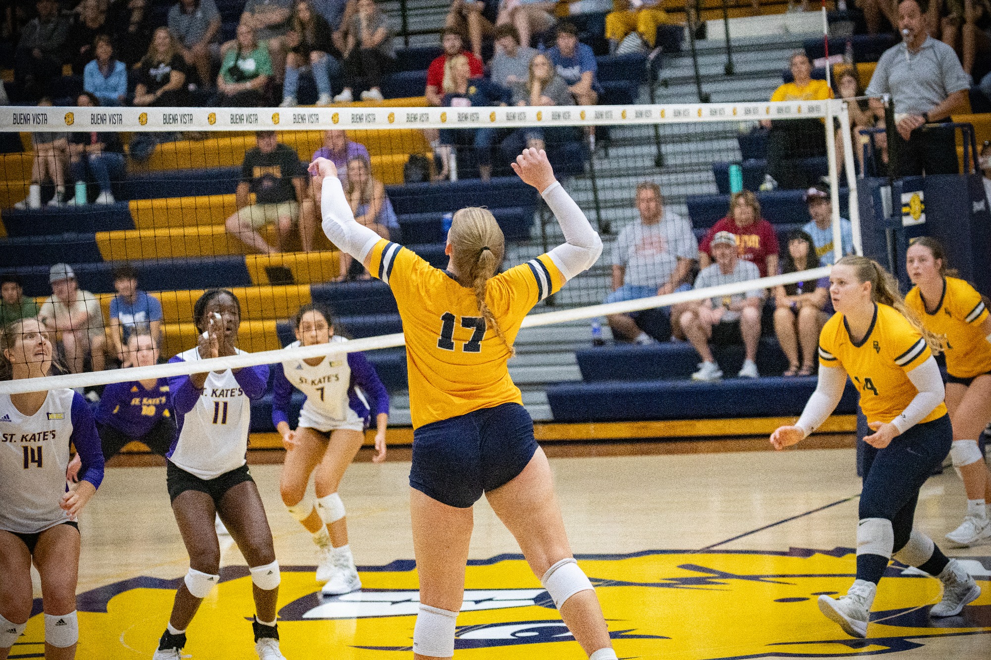 Volleyball Drops Non-Conference Thriller to St. Catherine - Buena Vista ...