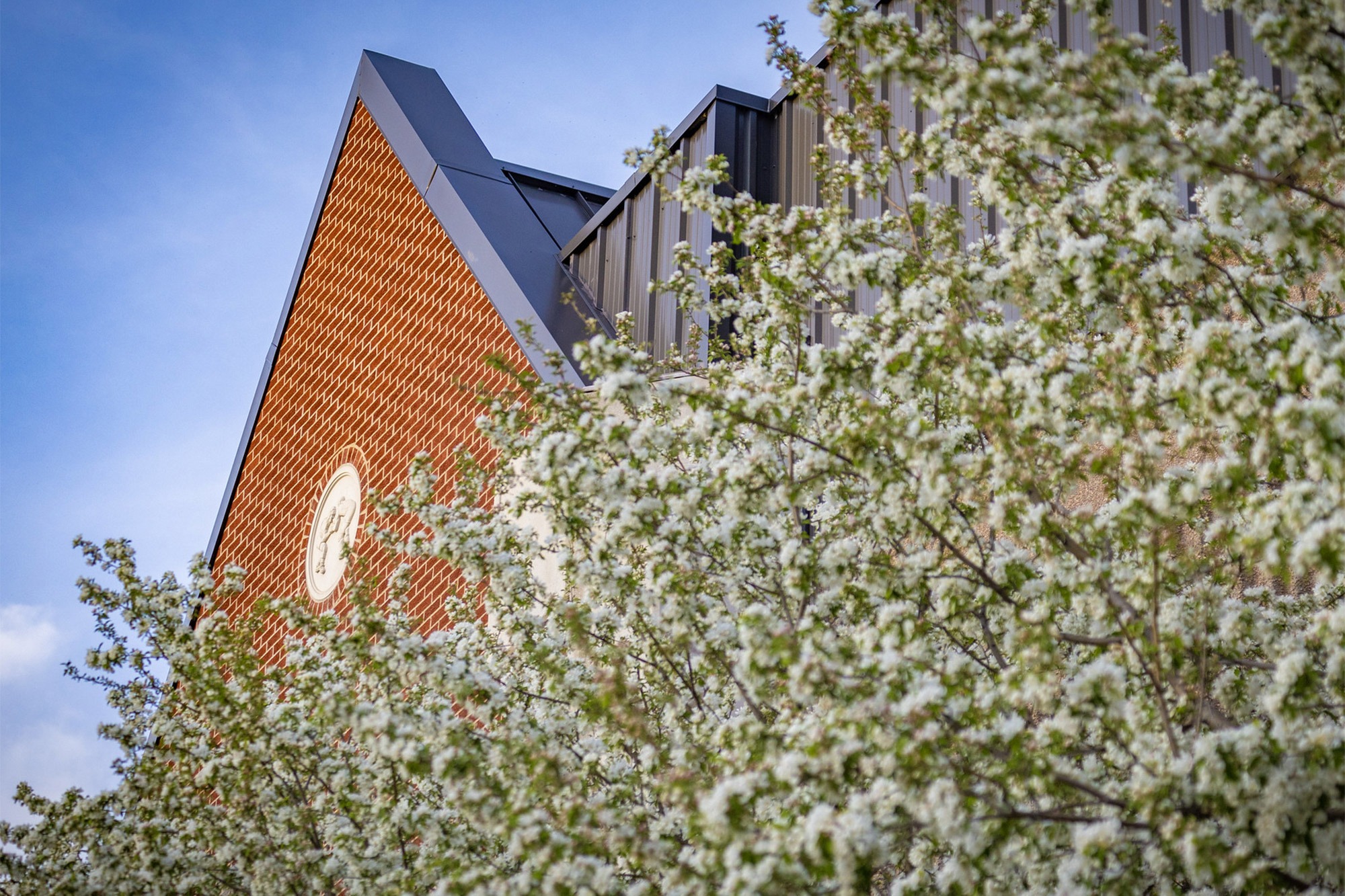 2025 Baseball Schedule - Buena Vista University