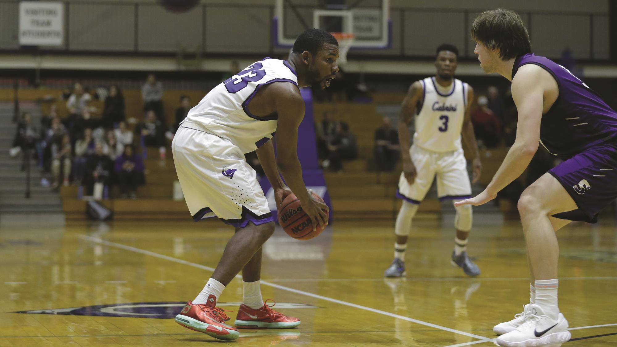 Deryl Bagwell - Basketball (Men) - Cabrini University Athletics