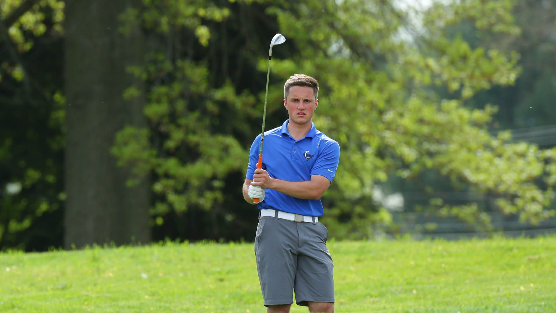 Nick Straub - Golf (Men) - Cabrini University Athletics