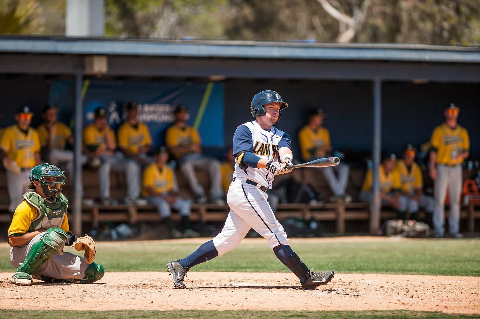 Andy Crowley - Baseball - CBU Athletics