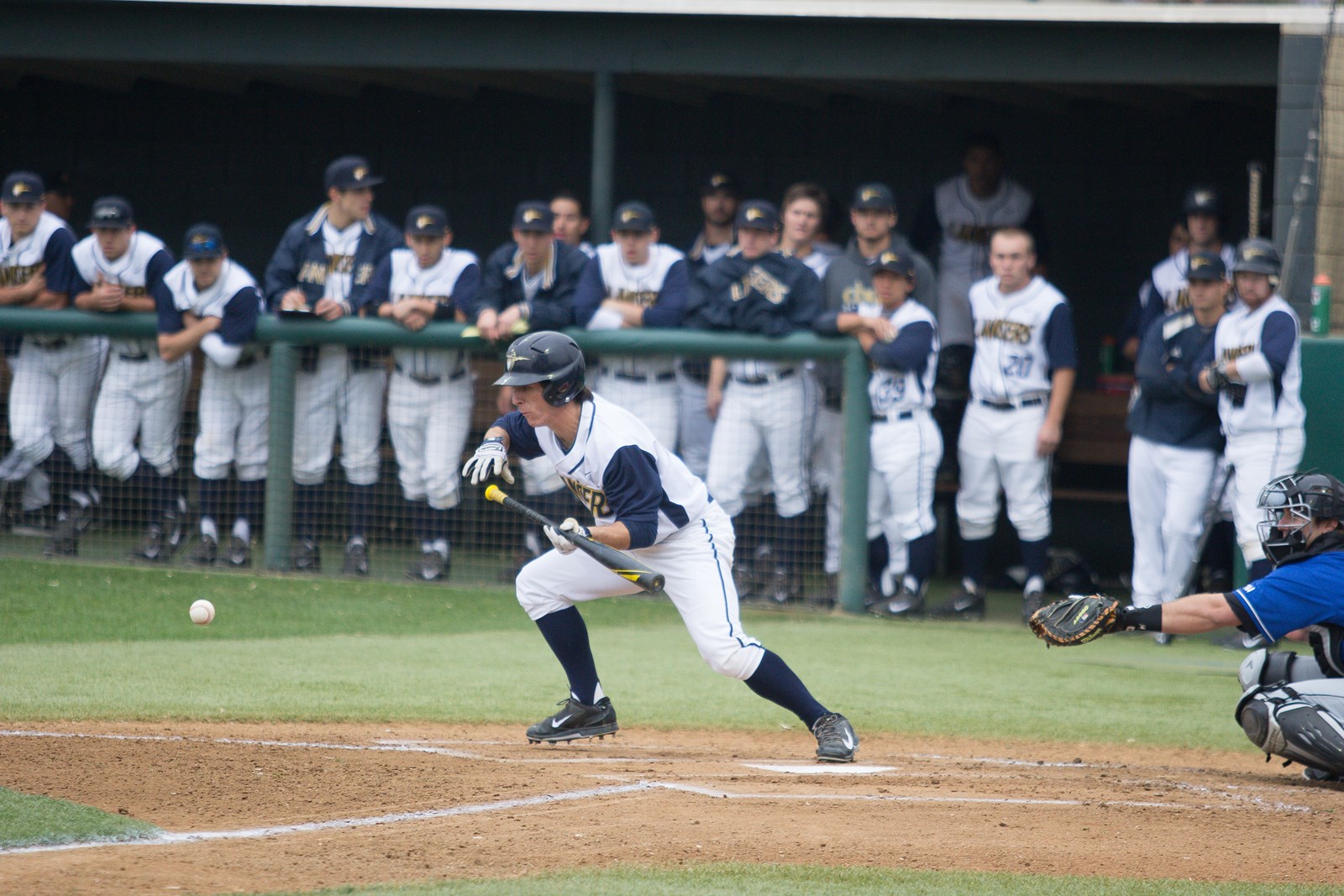Zack Norris - Baseball - CBU Athletics