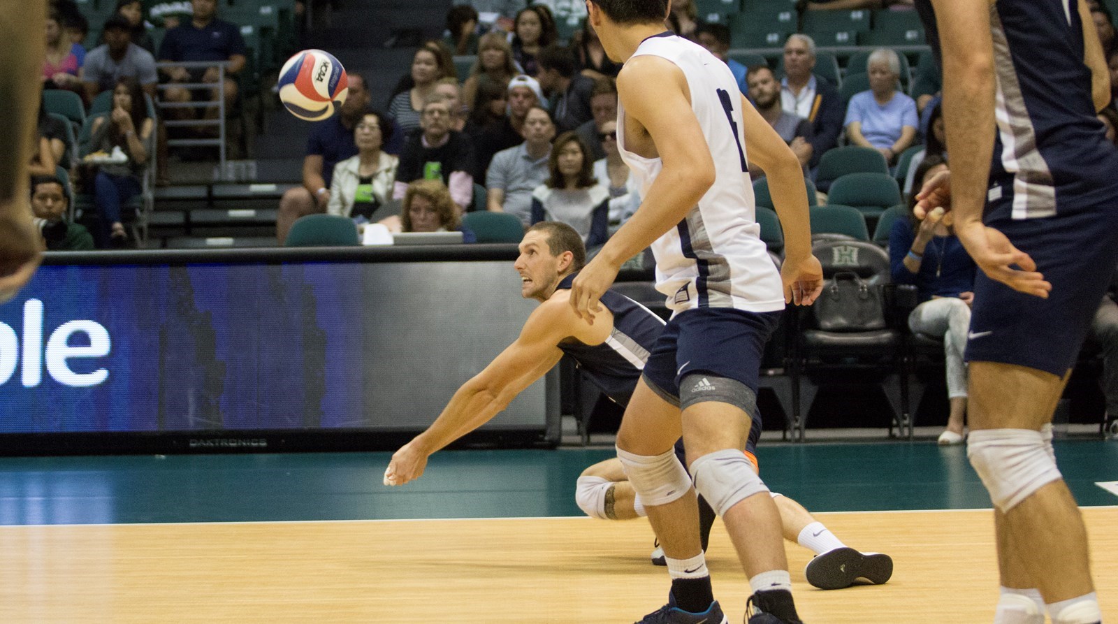 Roy Powell - Men's Volleyball - CBU Athletics