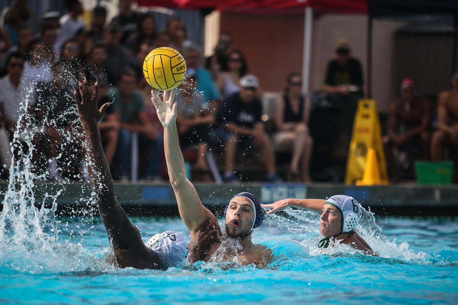 Kyle Rasmussen - Men's Water Polo - CBU Athletics