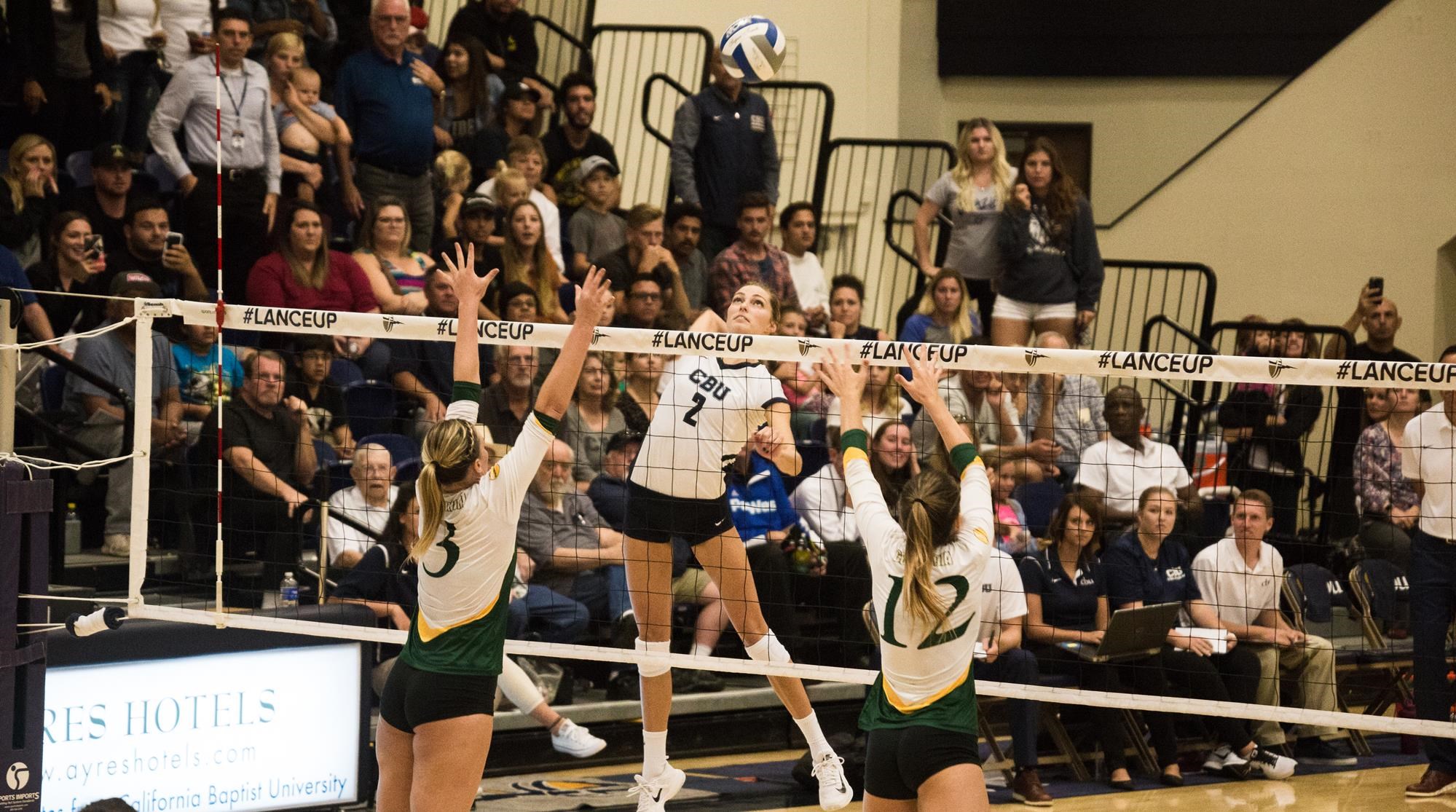 Madison Witt - Women's Volleyball - CBU Athletics