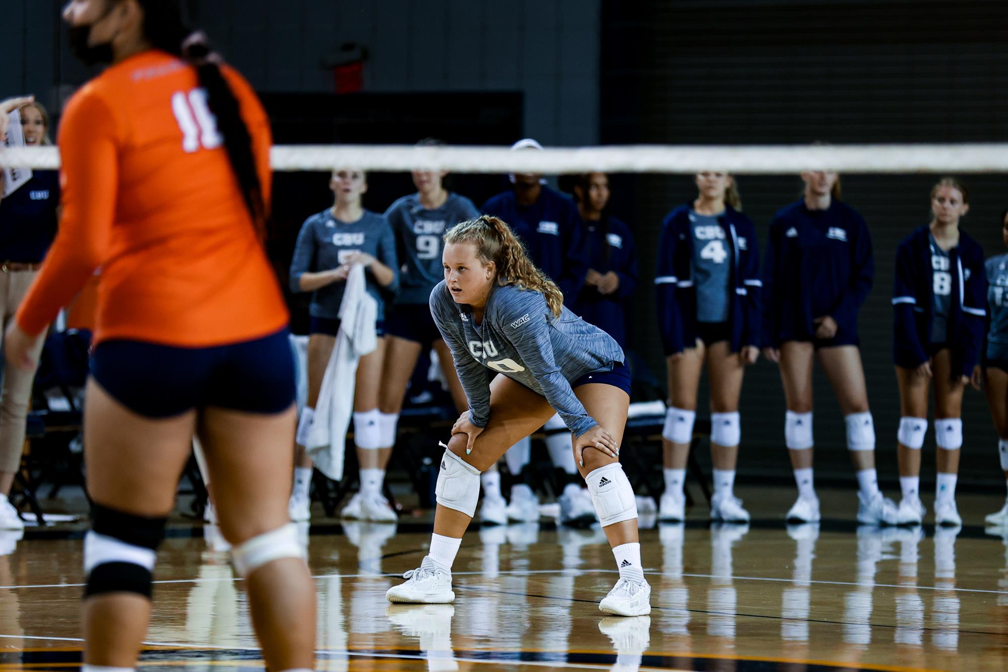 Jennifer Blessing - Women's Volleyball - CBU Athletics
