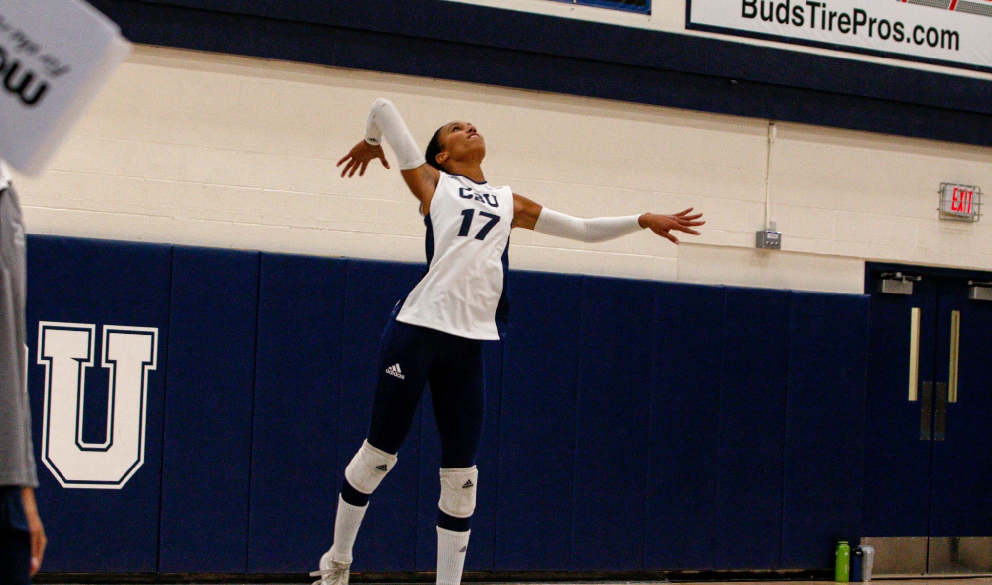 Brianna Young - Women's Volleyball - CBU Athletics