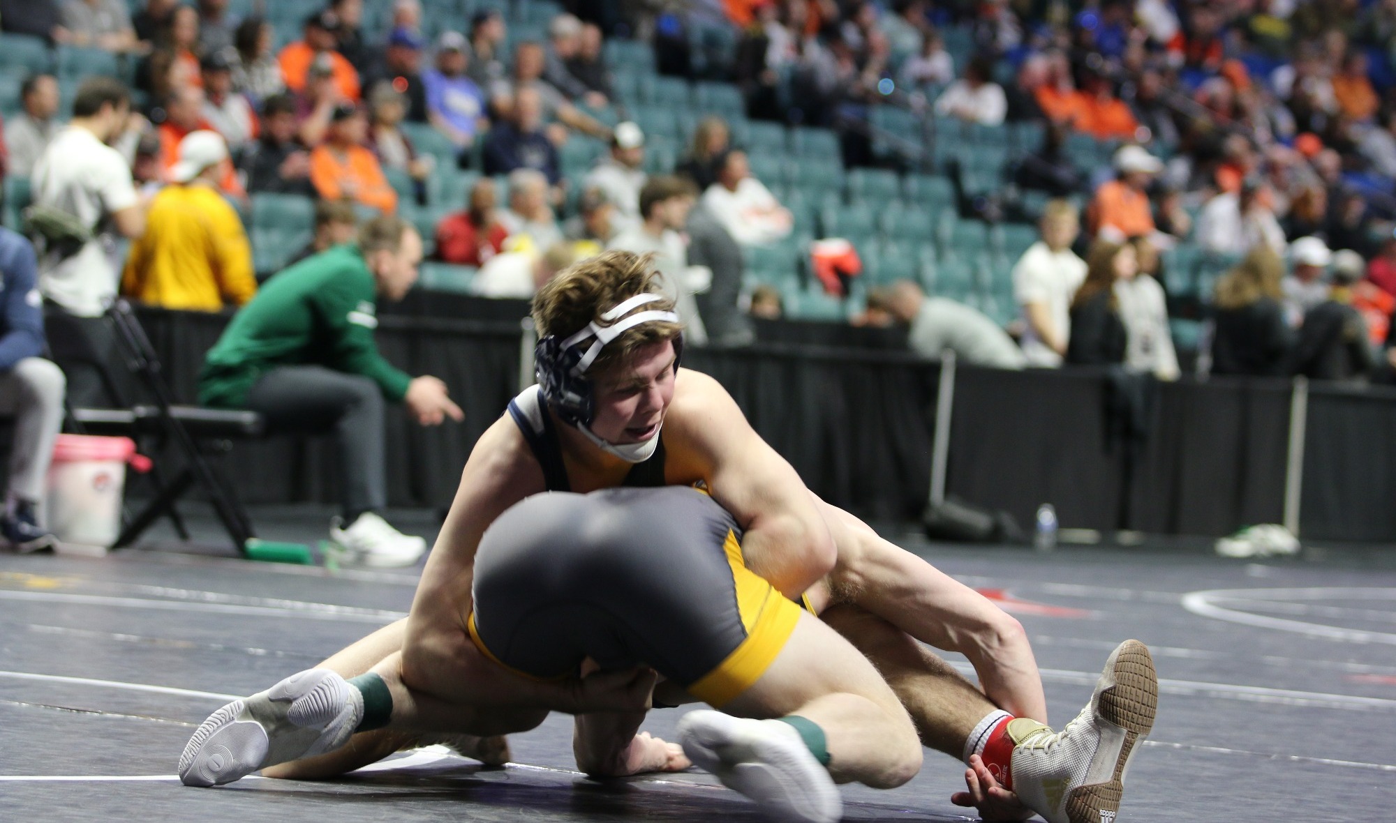 Chaz Hallmark - Wrestling - CBU Athletics