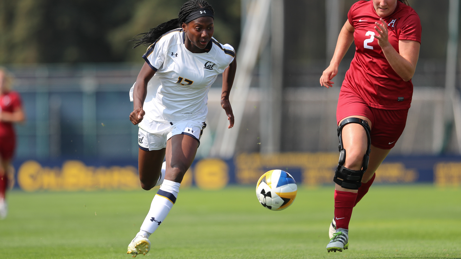 Abi Kim - Women's Soccer - California Golden Bears Athletics