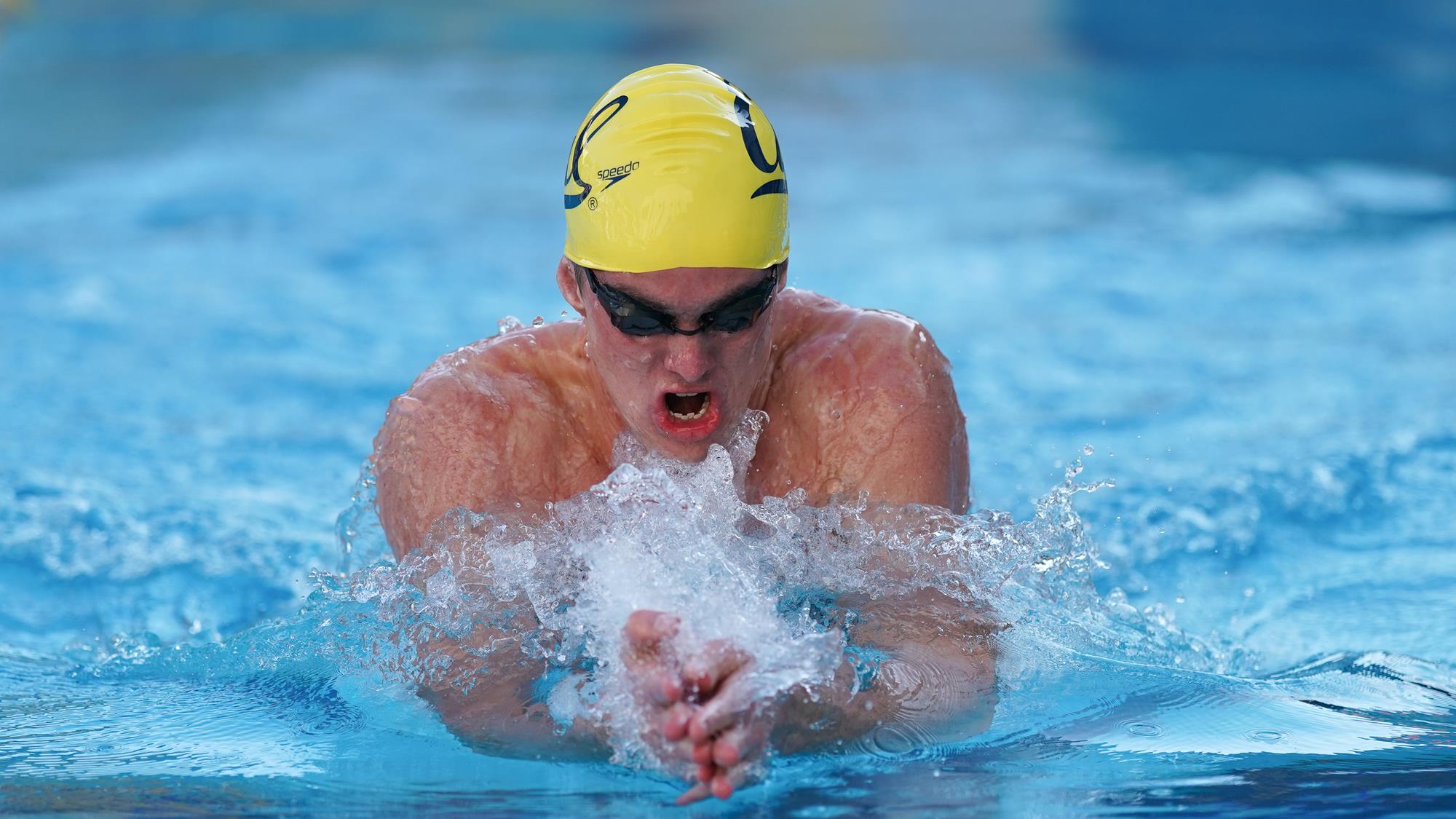 Karl Arvidsson - Men's Swimming & Diving - California Golden Bears ...