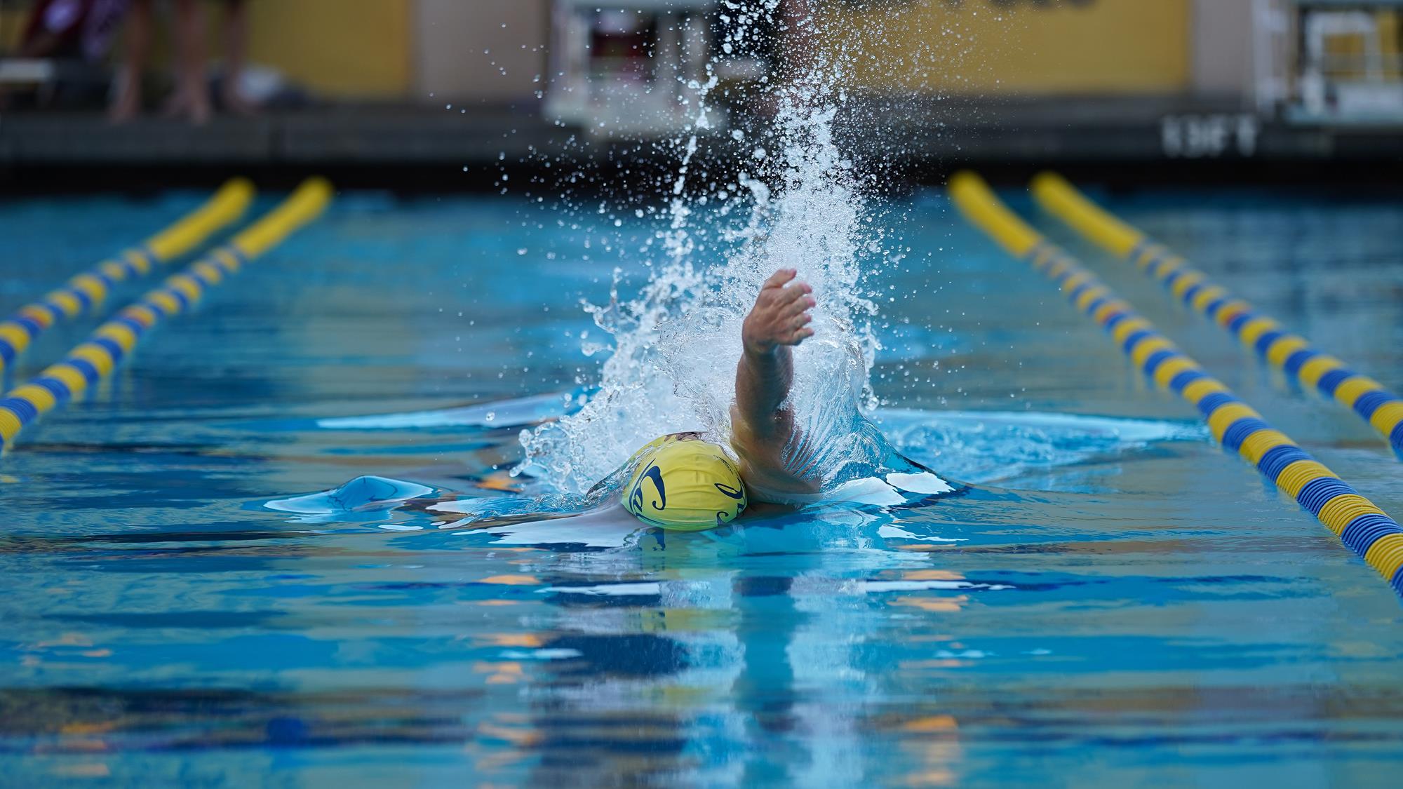 Daniel Carr - Men's Swimming & Diving - California Golden Bears Athletics