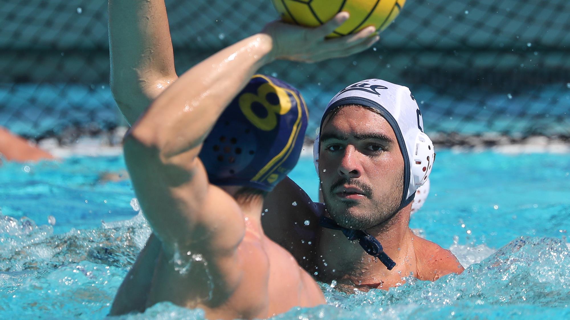 Tamir Avital - Men's Water Polo - California Golden Bears Athletics