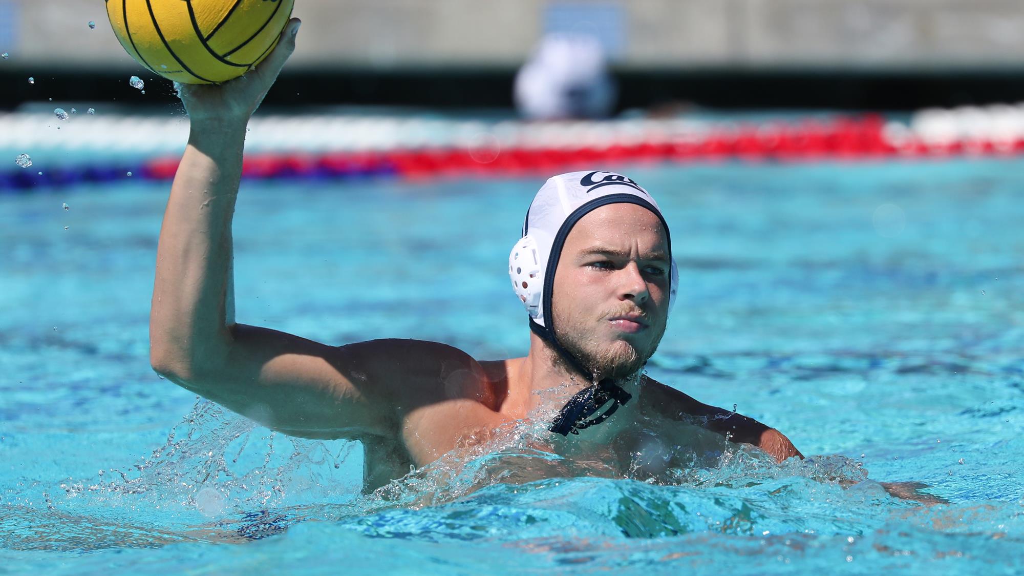 David Feingold - Men's Water Polo - California Golden Bears Athletics
