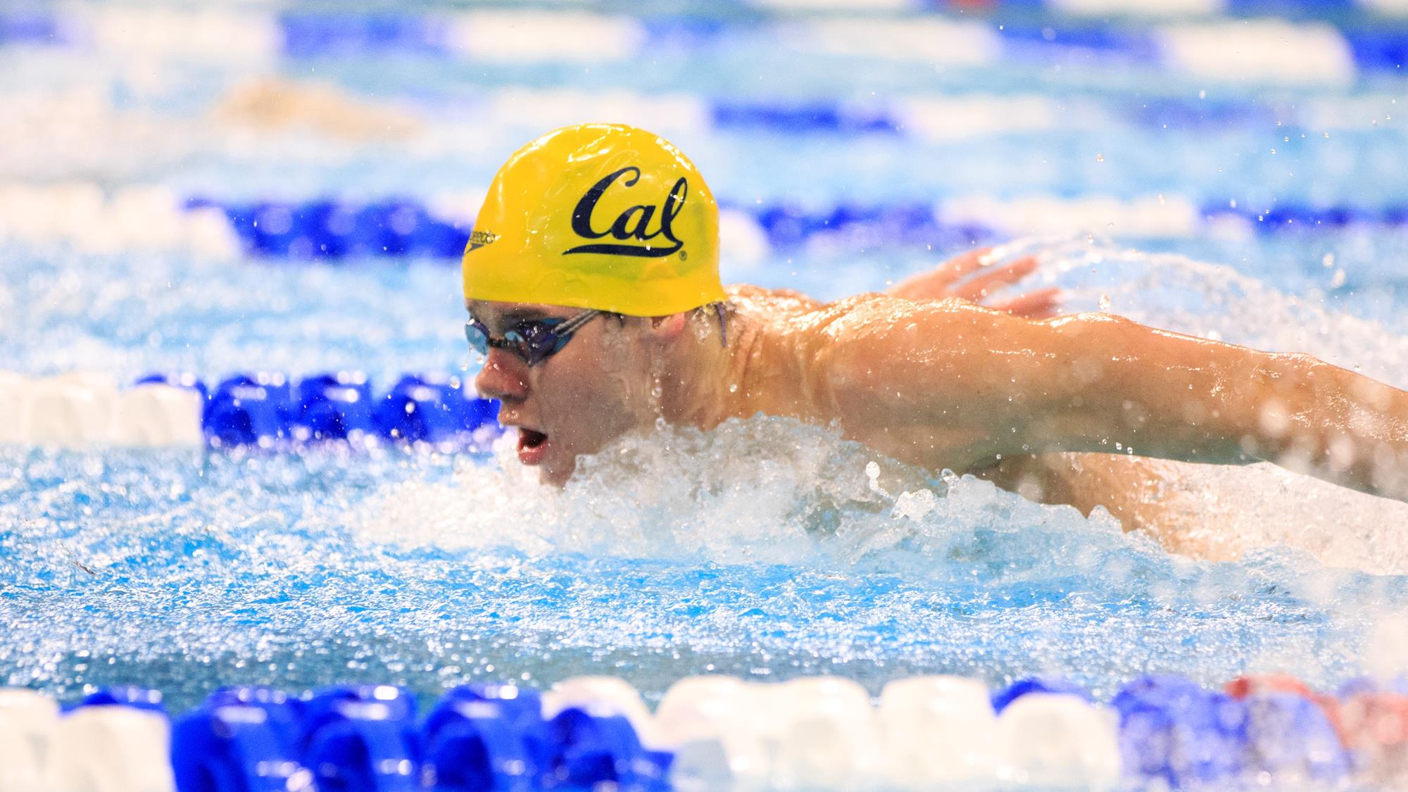 Sean Grieshop - Men's Swimming & Diving - California Golden Bears Athletics