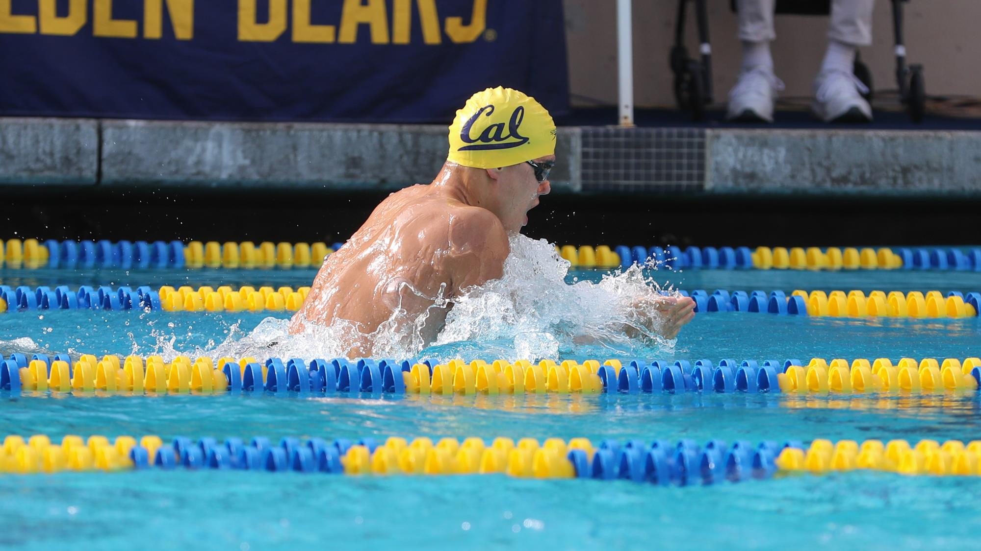 Jacques Laeuffer - Men's Swimming & Diving - California Golden Bears ...