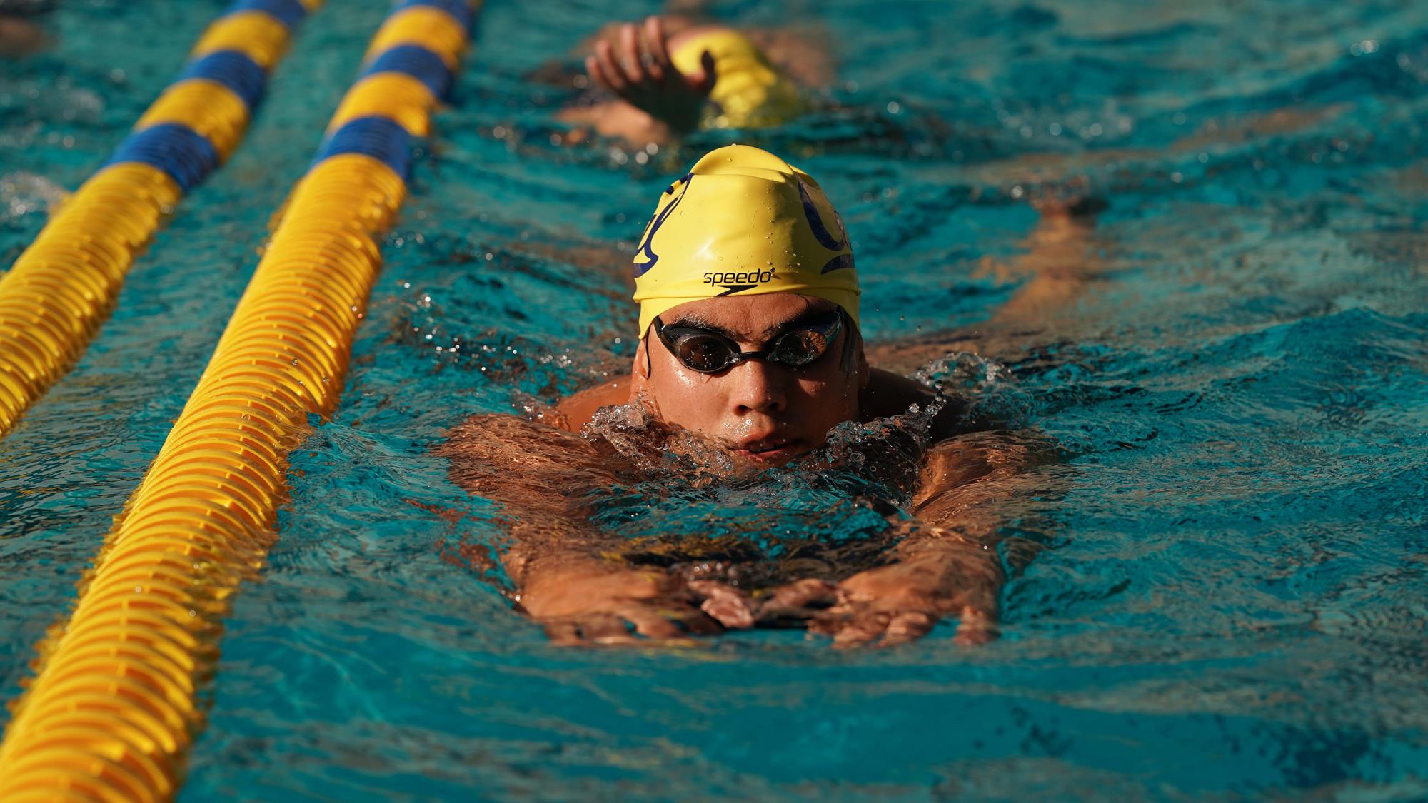 Jacques Laeuffer - Men's Swimming & Diving - California Golden Bears ...
