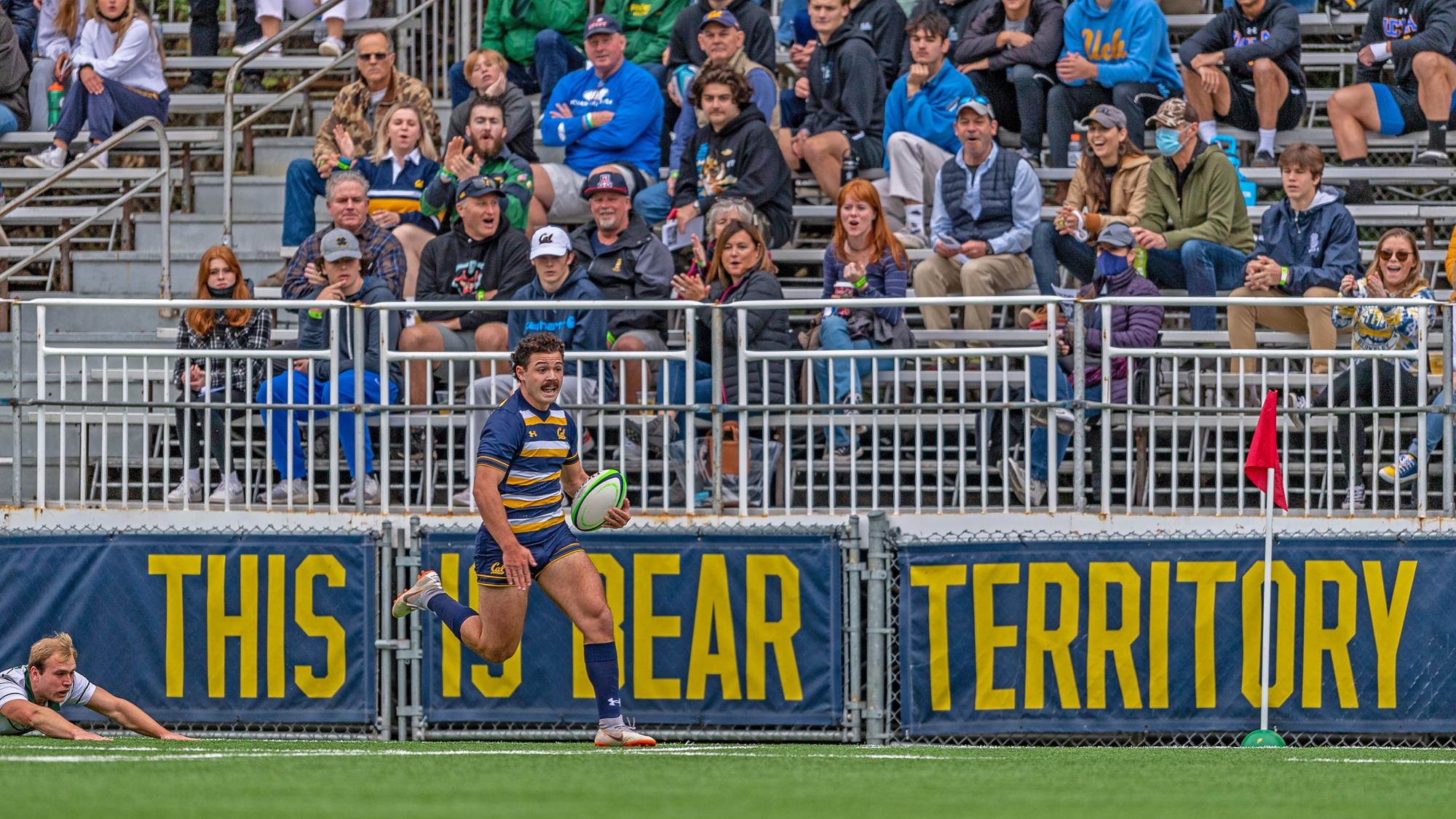 Max Schumacher - Rugby - California Golden Bears Athletics