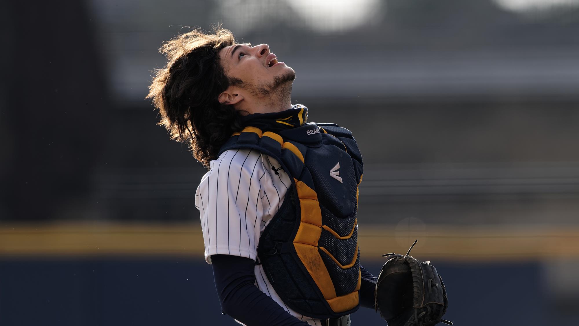 Ethan Cloyd - Baseball - California Golden Bears Athletics