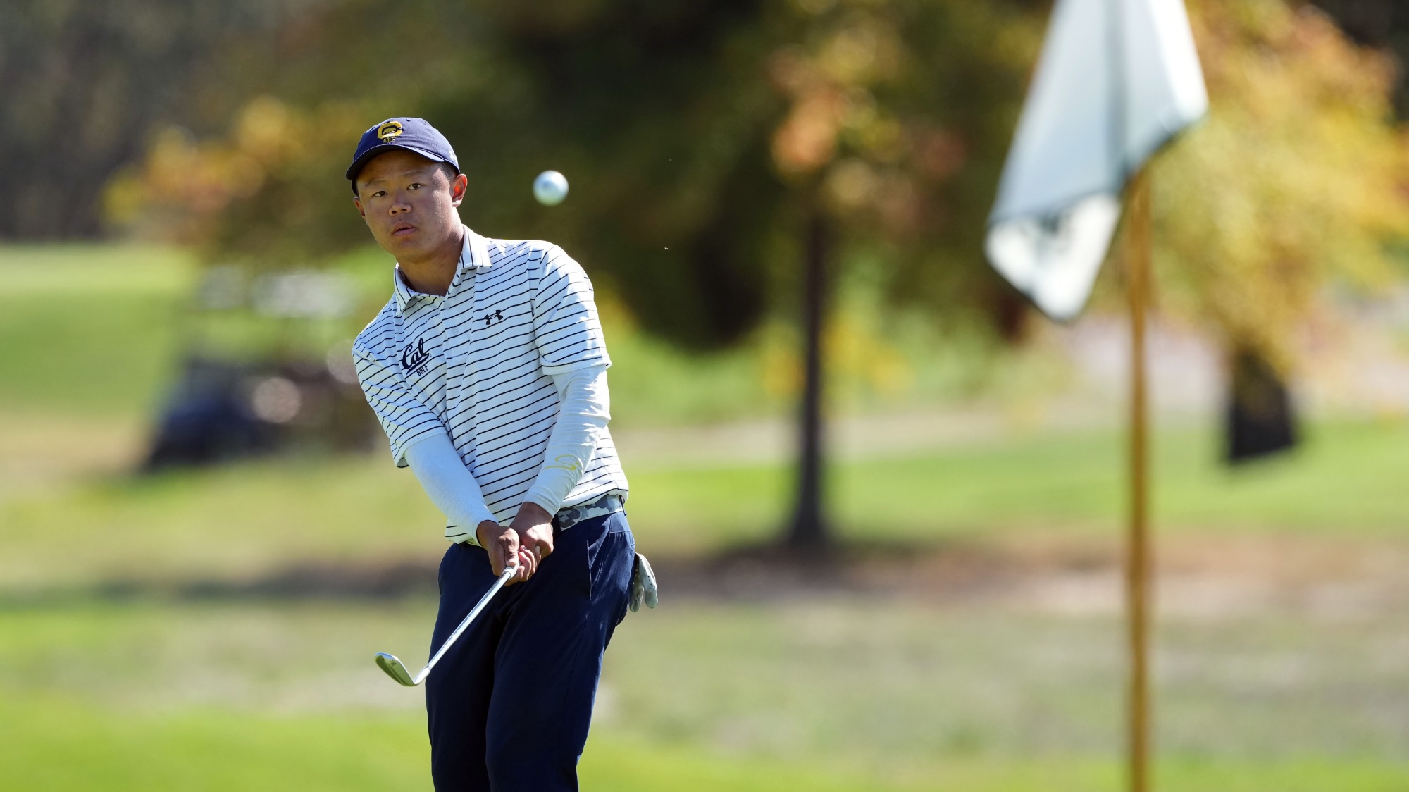 Aaron Du - Men's Golf - California Golden Bears Athletics