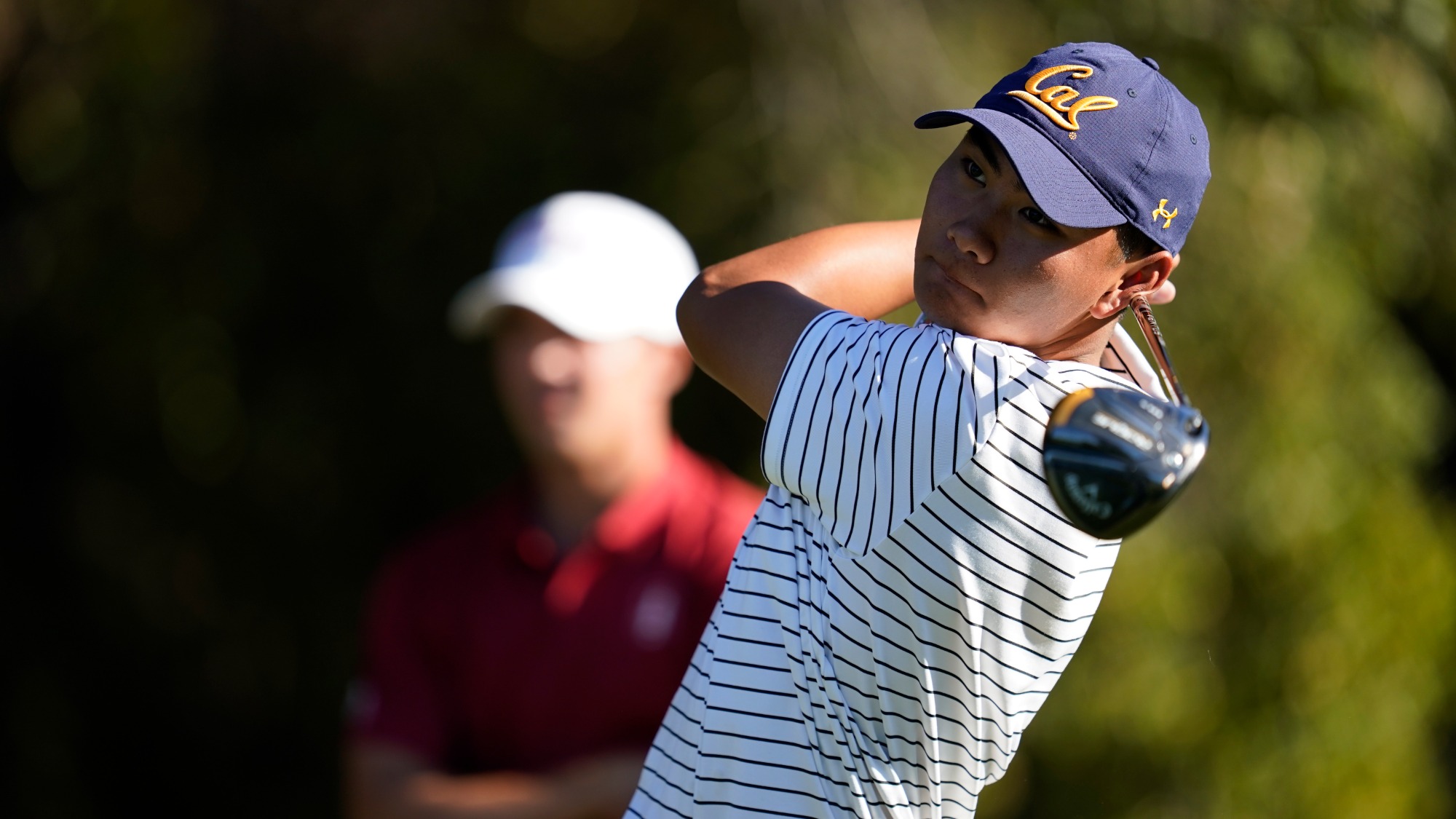 Nathan Wang - Men's Golf - California Golden Bears Athletics