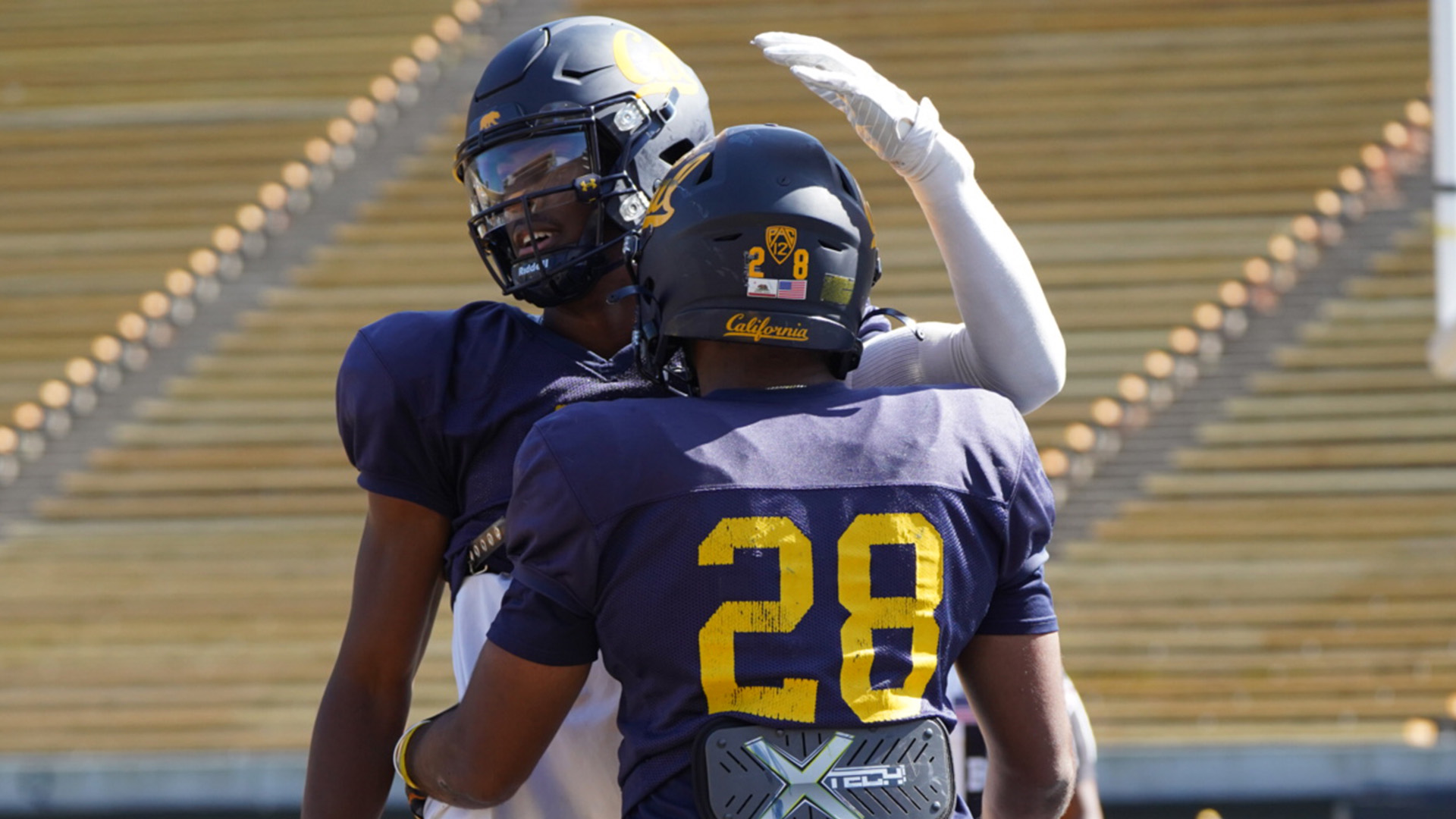 Damien Moore - Football - California Golden Bears Athletics