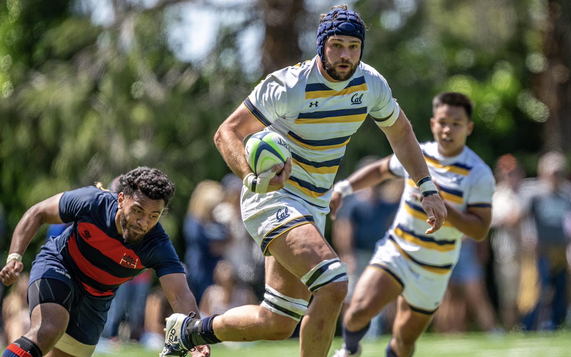 Sam Golla - Rugby - California Golden Bears Athletics
