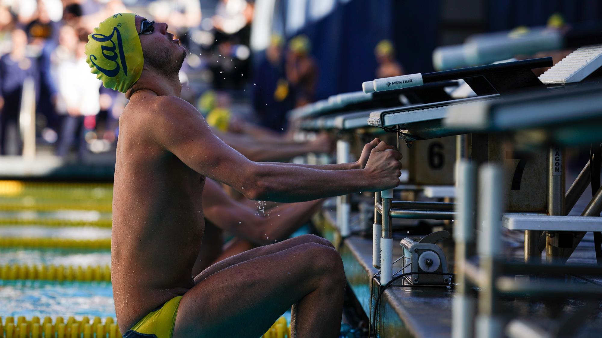 Colby Mefford - Men's Swimming & Diving - California Golden Bears Athletics