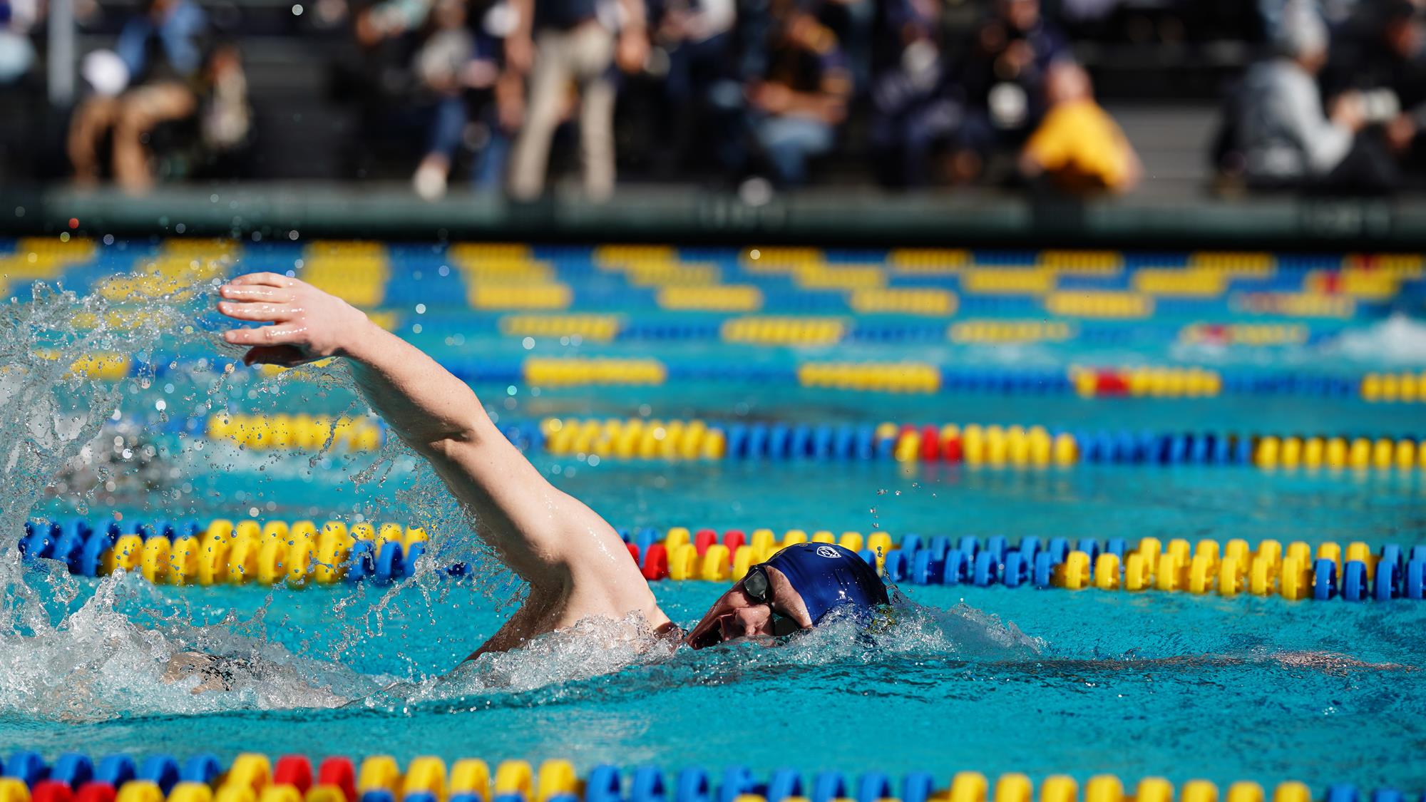 Jack Meehan - Men's Swimming & Diving - California Golden Bears Athletics