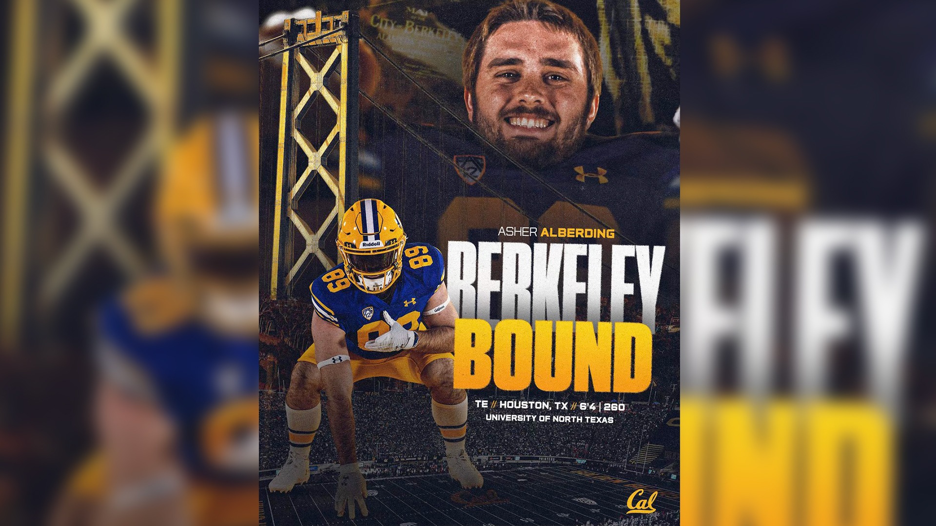 Asher Alberding - Football - California Golden Bears Athletics