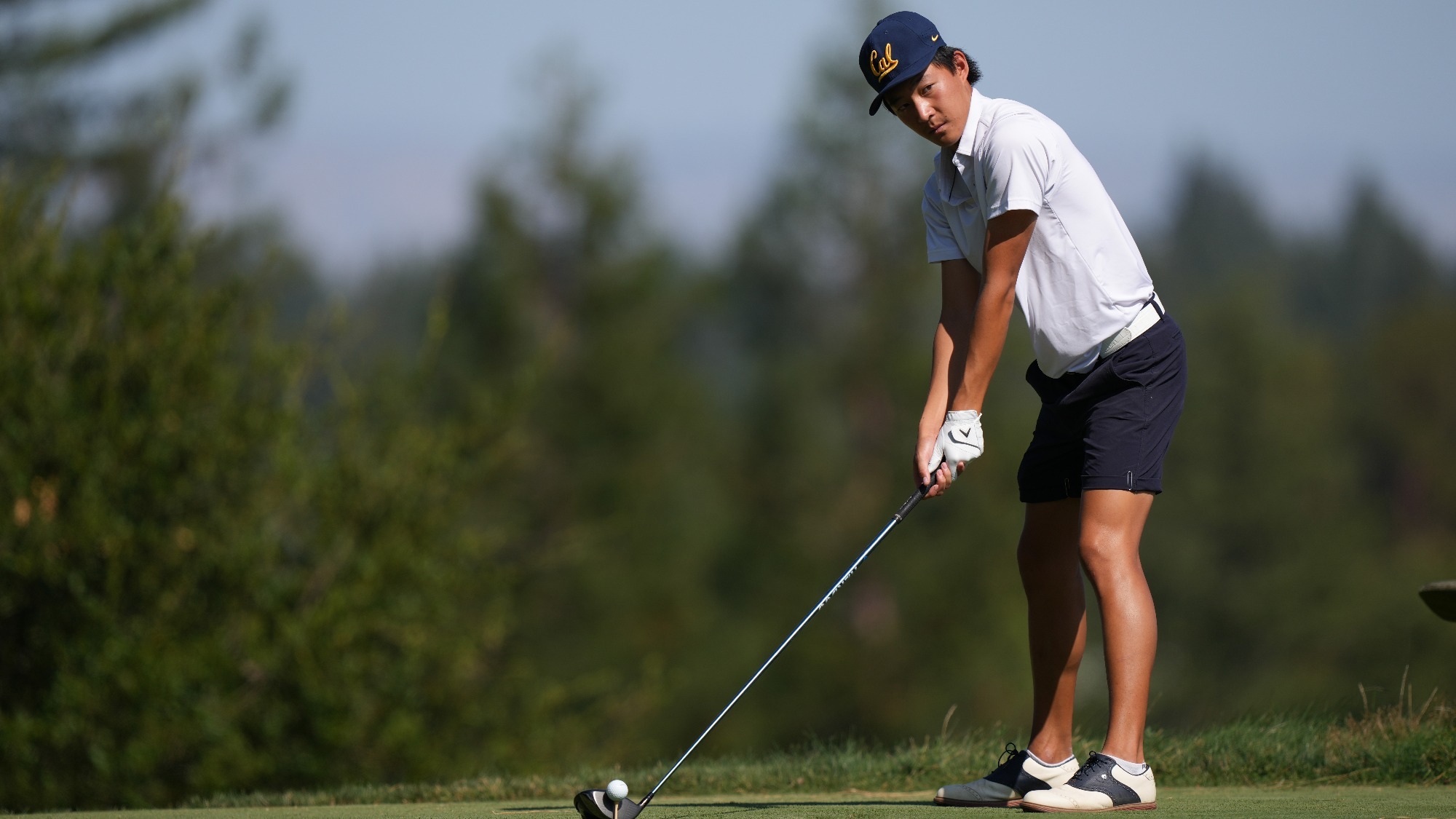 Ethan Fang - Men's Golf - California Golden Bears Athletics