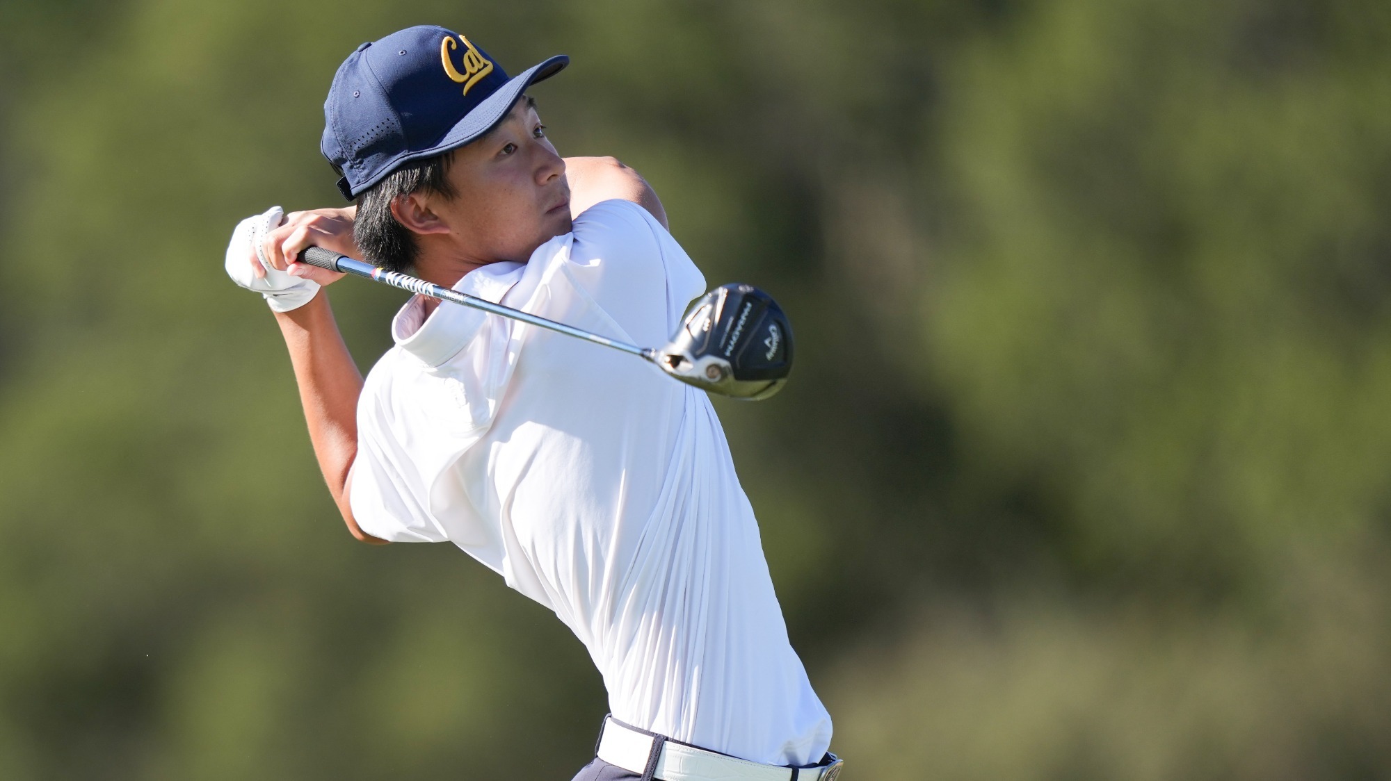Ethan Fang - Men's Golf - California Golden Bears Athletics