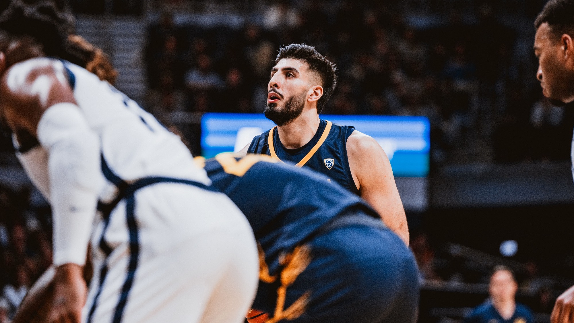 Fardaws Aimaq - Men's Basketball - California Golden Bears Athletics
