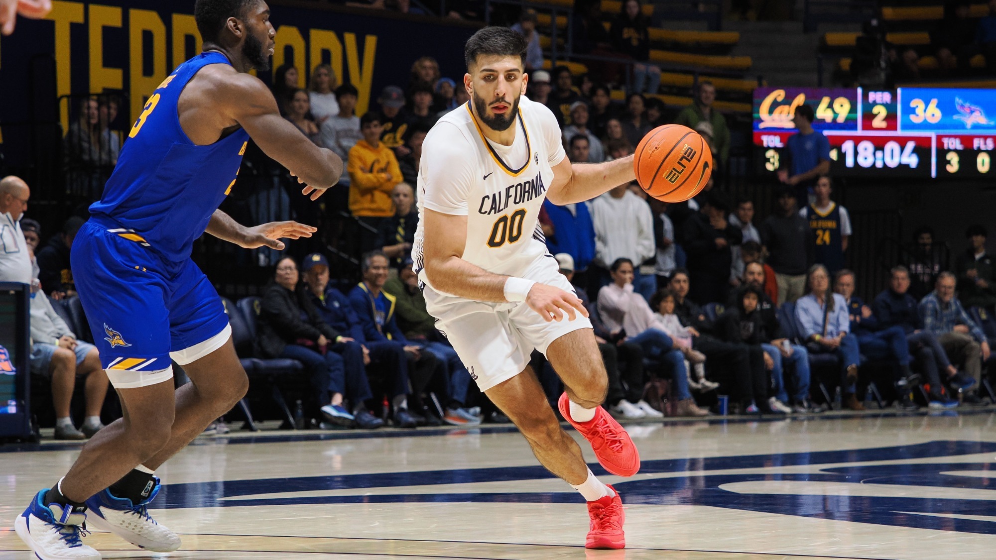 Fardaws Aimaq - Men's Basketball - California Golden Bears Athletics
