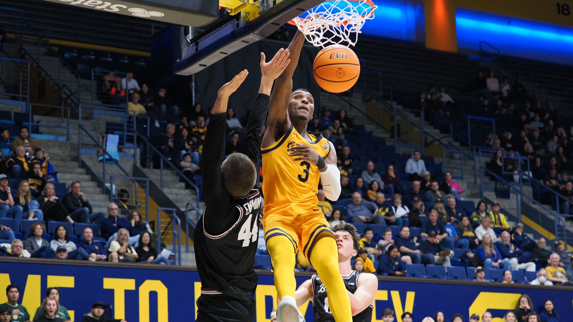 Keonte Kennedy - Men's Basketball - California Golden Bears Athletics