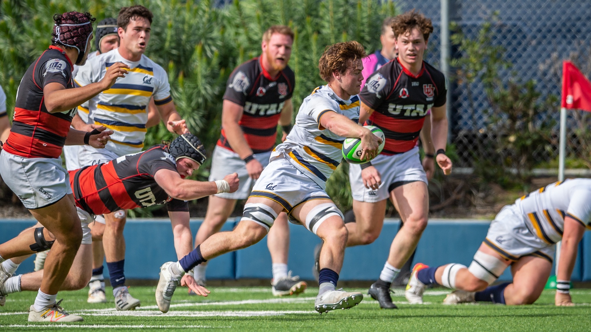 Cal Liebowitz - Rugby - California Golden Bears Athletics