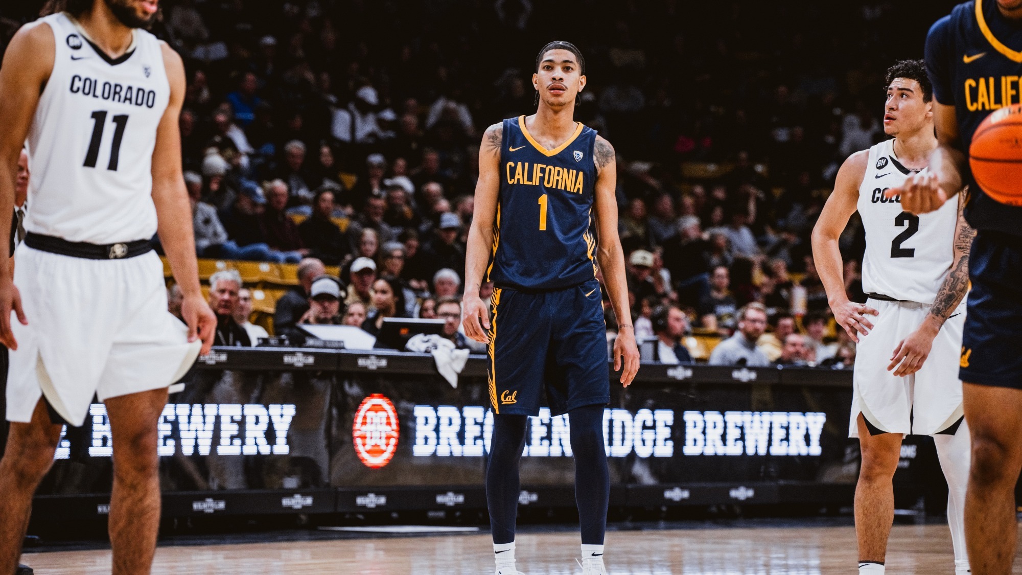 Rodney Brown Jr. - Men's Basketball - California Golden Bears Athletics