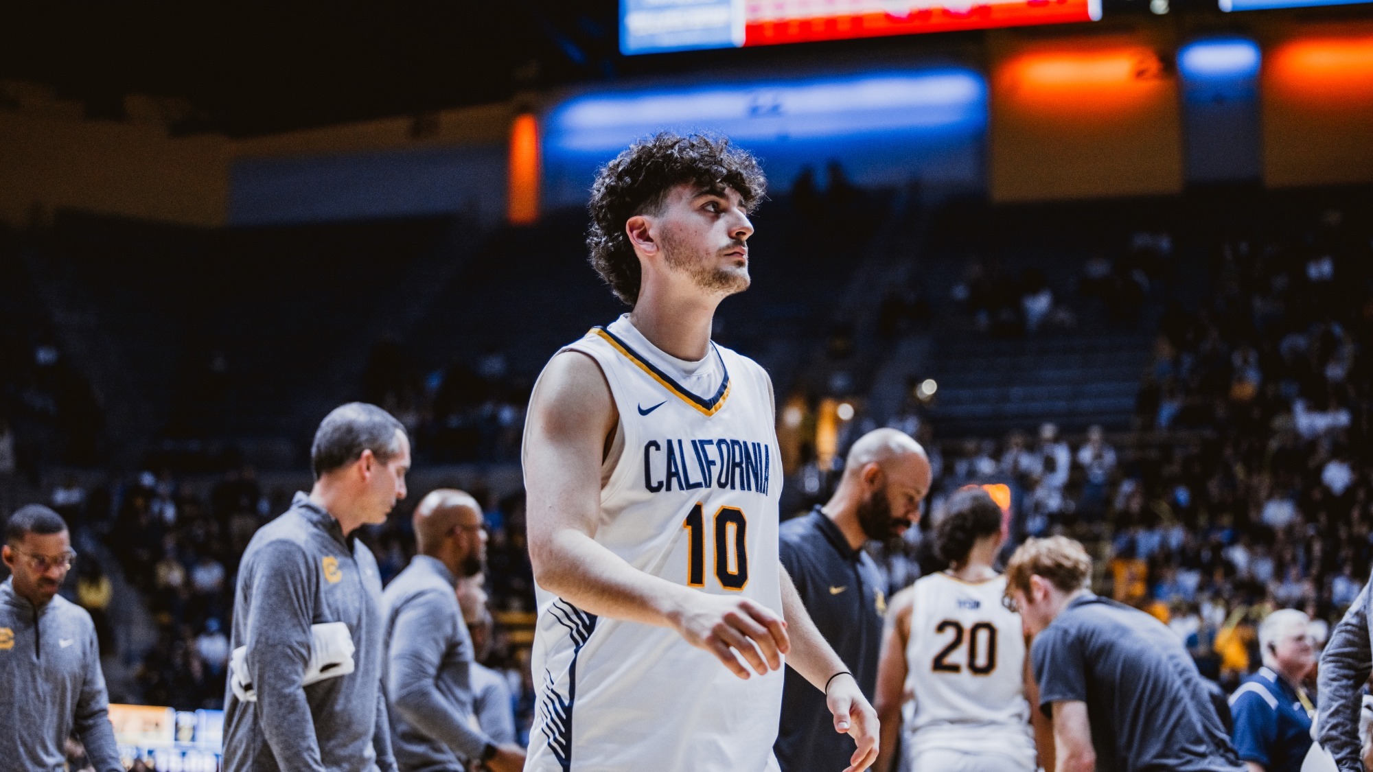 Jayden Karapetian - Men's Basketball - California Golden Bears Athletics