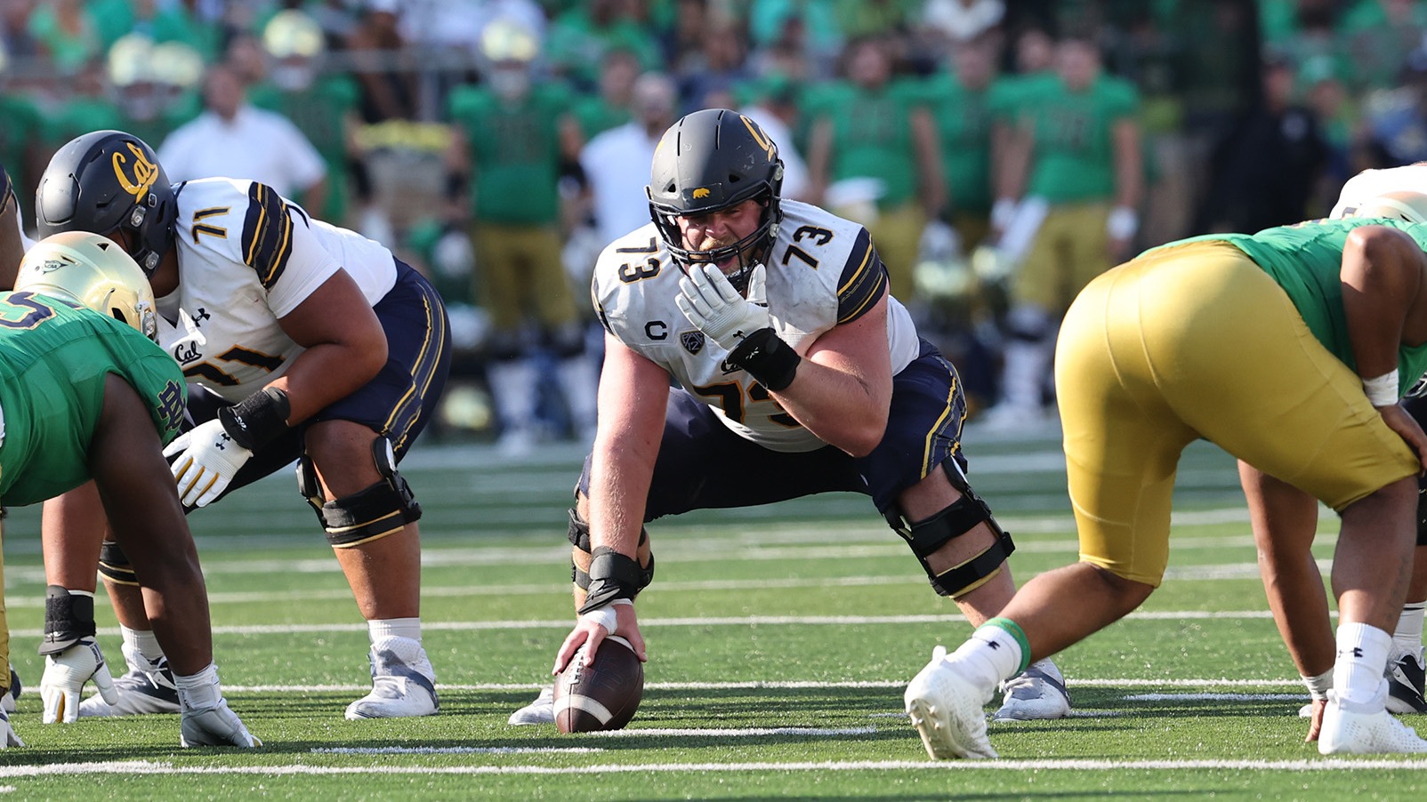 Matthew Cindric - Football - California Golden Bears Athletics