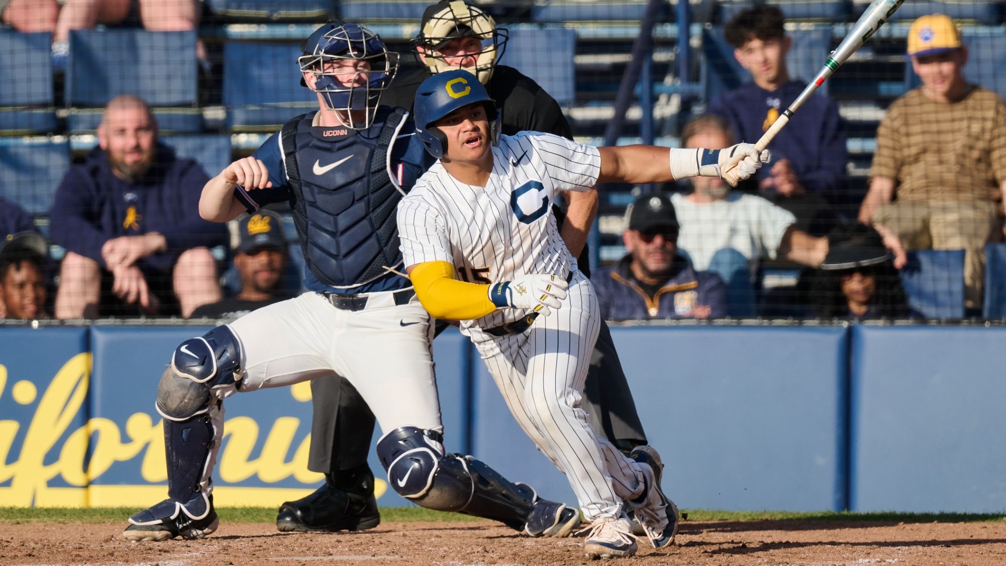 Bears Drop Series Finale With San Jose State - California Golden Bears ...