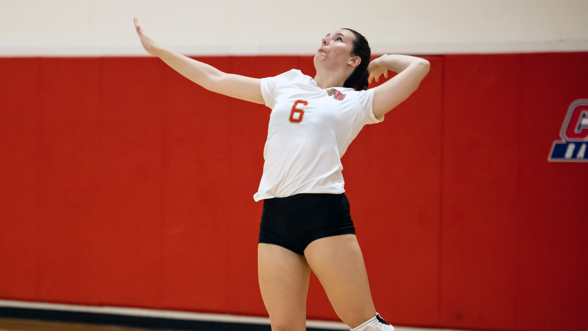 Women’s Volleyball Comes Up Short to Bridgeport in Five-Set ...