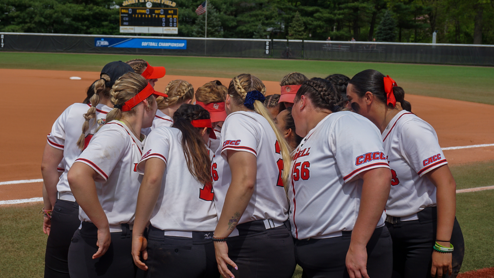 Softball Season Comes To a Close as Cougars Fall Twice to #1 Adelphi in ...