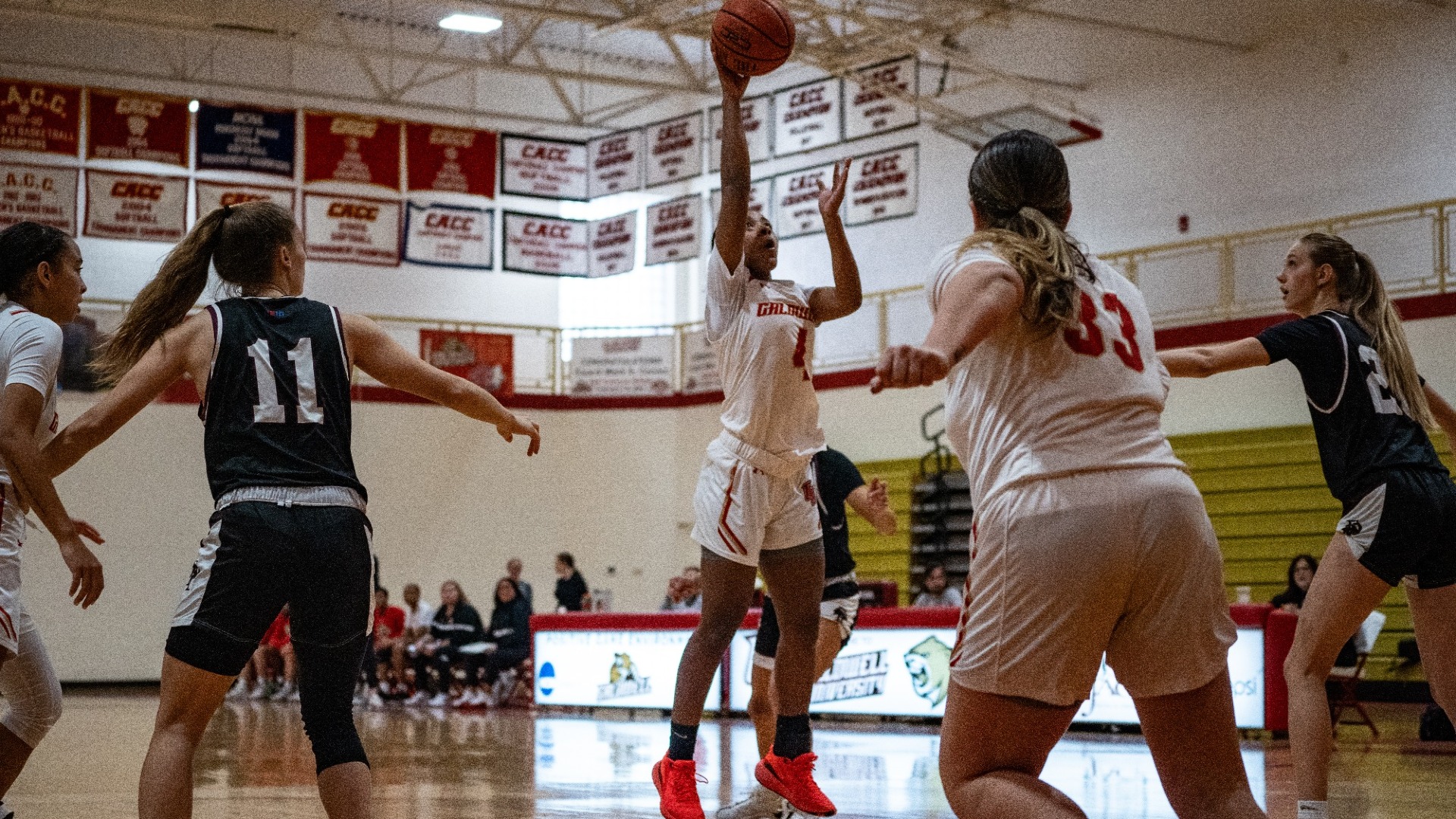 Alisa Blalock - Women's Basketball - Caldwell University Athletics