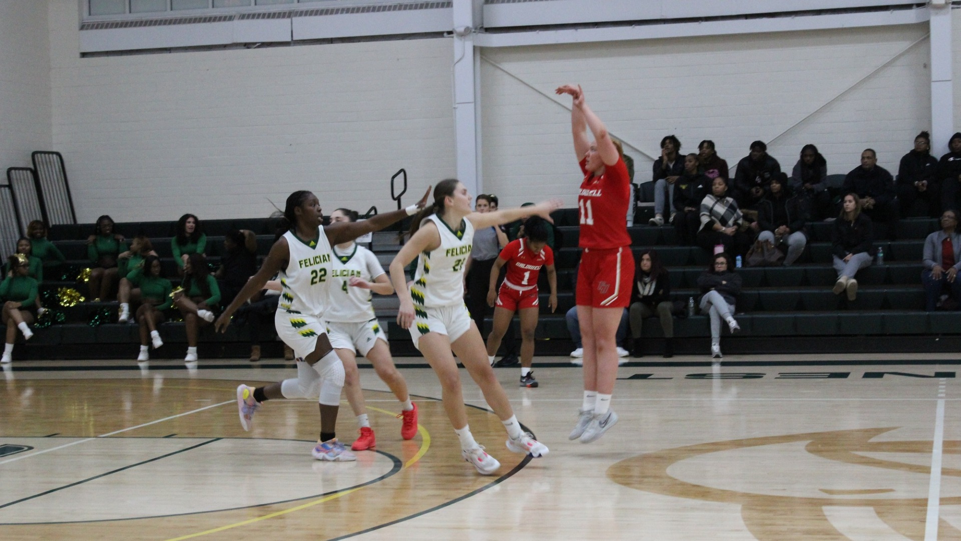 Coogan Nets Game High 20 in Women's Basketball Loss at Felician ...