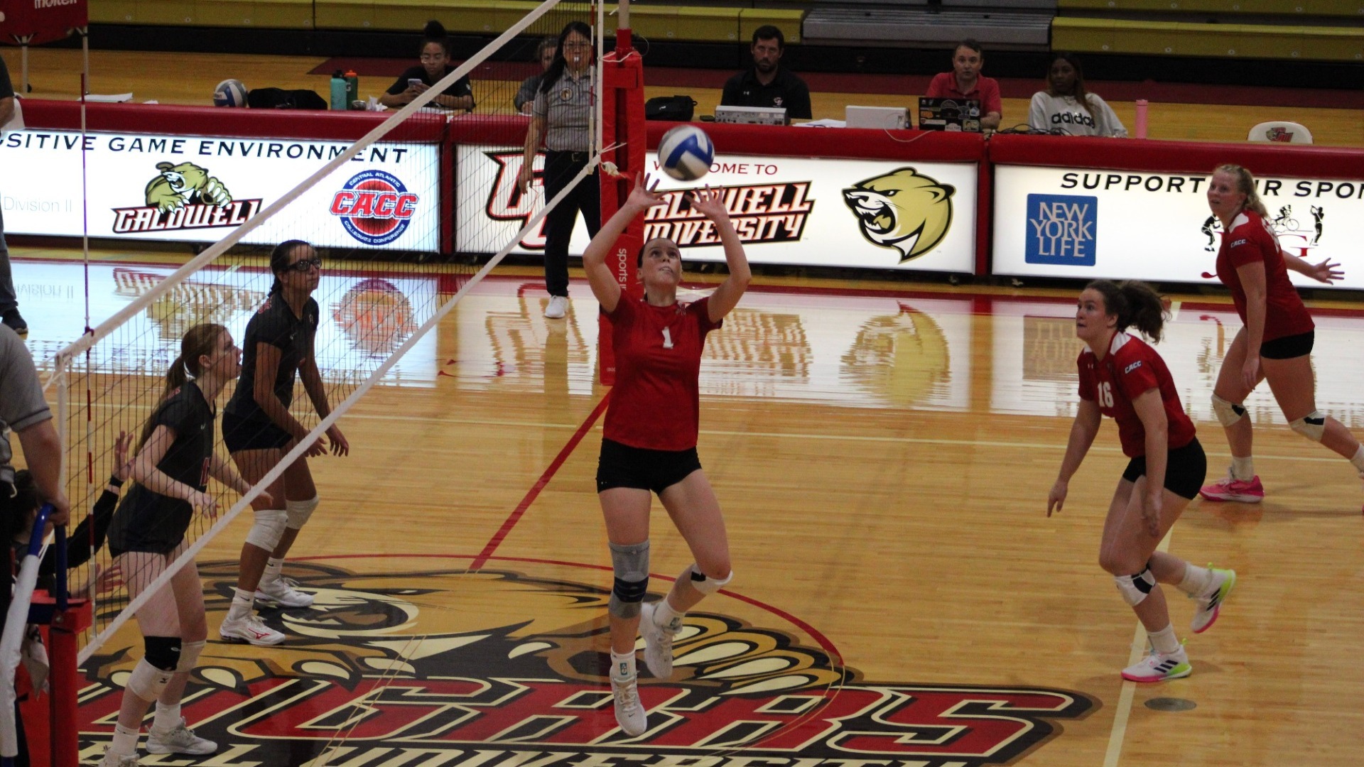 Schiltz's Nine Kills, Mack's 16 Assists Not Enough As Caldwell ...