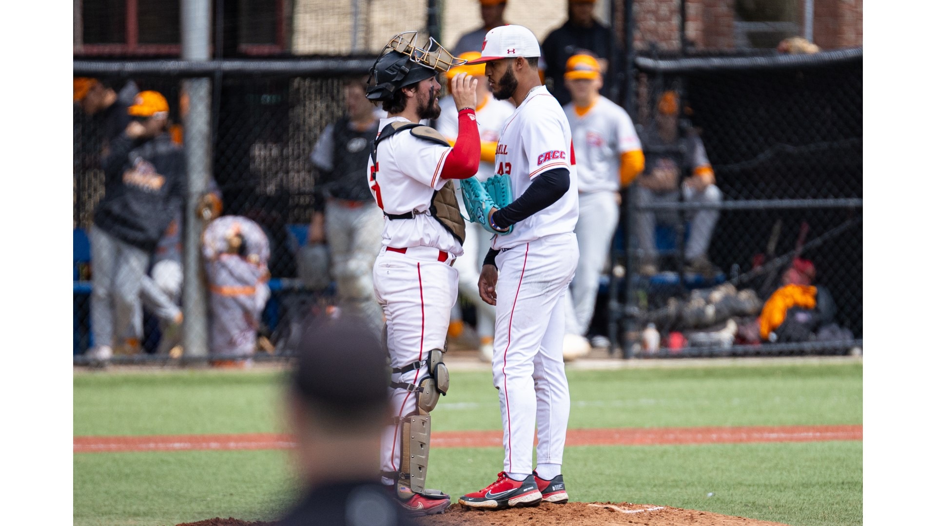 Oliver Hernandez - Baseball - Caldwell University Athletics