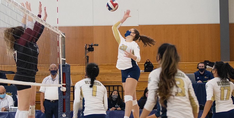 Season and Career-High's Elevate Bobcats To Second Straight Win ...