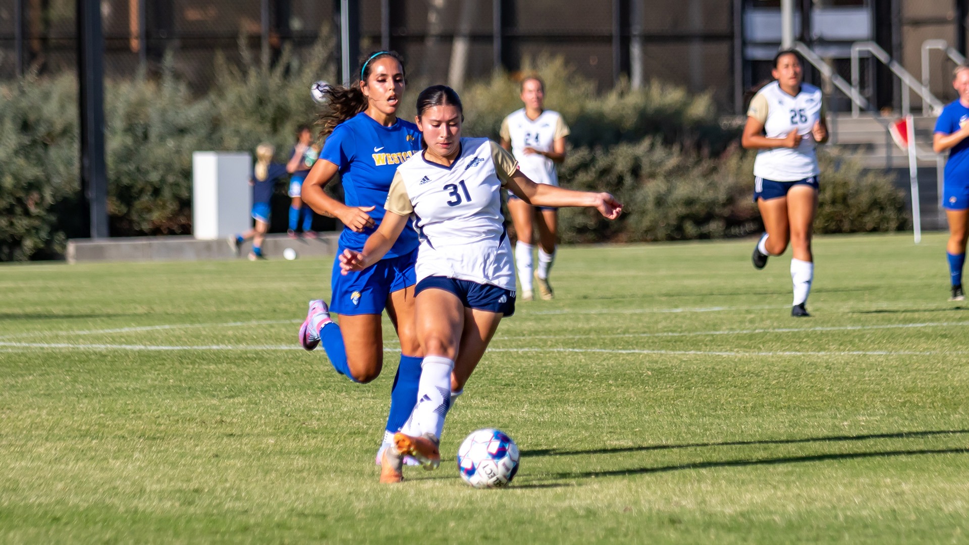 Bobcats Remain Perfect in Cal Pac Play With 2-0 Win over PUC ...