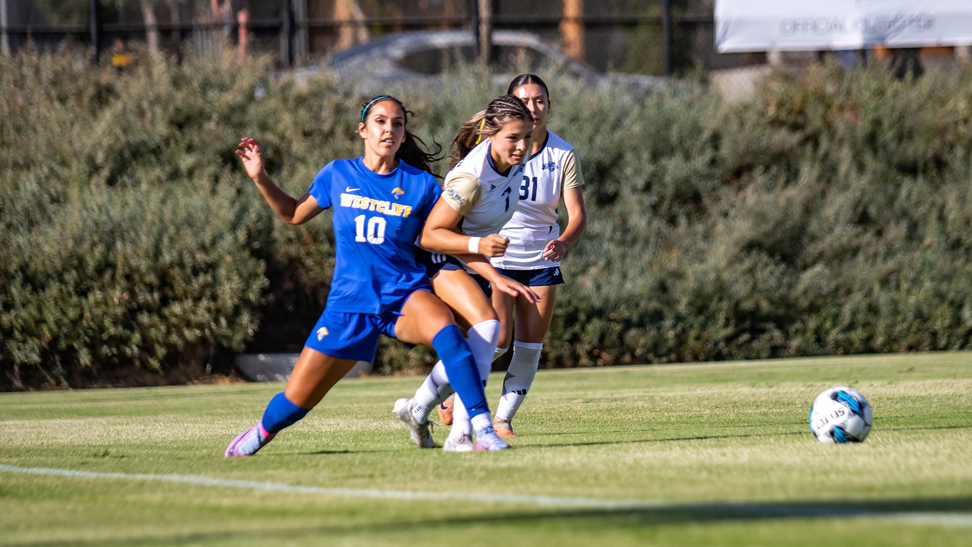 Women's Soccer Suffers First Cal Pac Loss to #14 Embry-Riddle ...