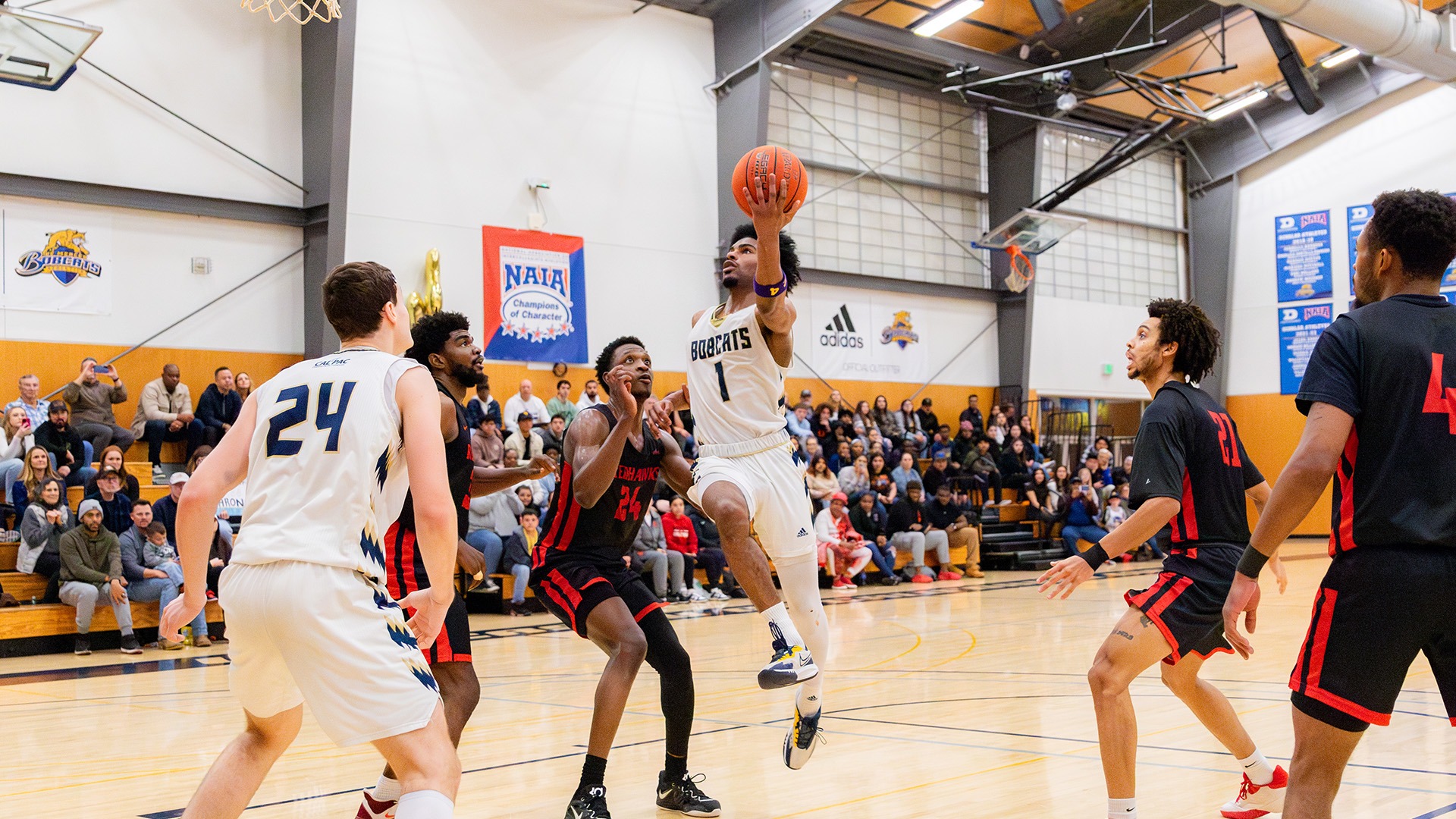 Bobcats Knock Off BenU 73-65 on Senior Night - University of California ...